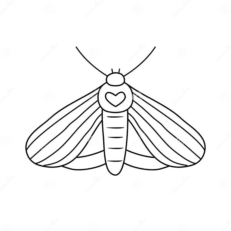 Vector Flat Hand Drawn Outline Moth Stock Vector - Illustration of ...