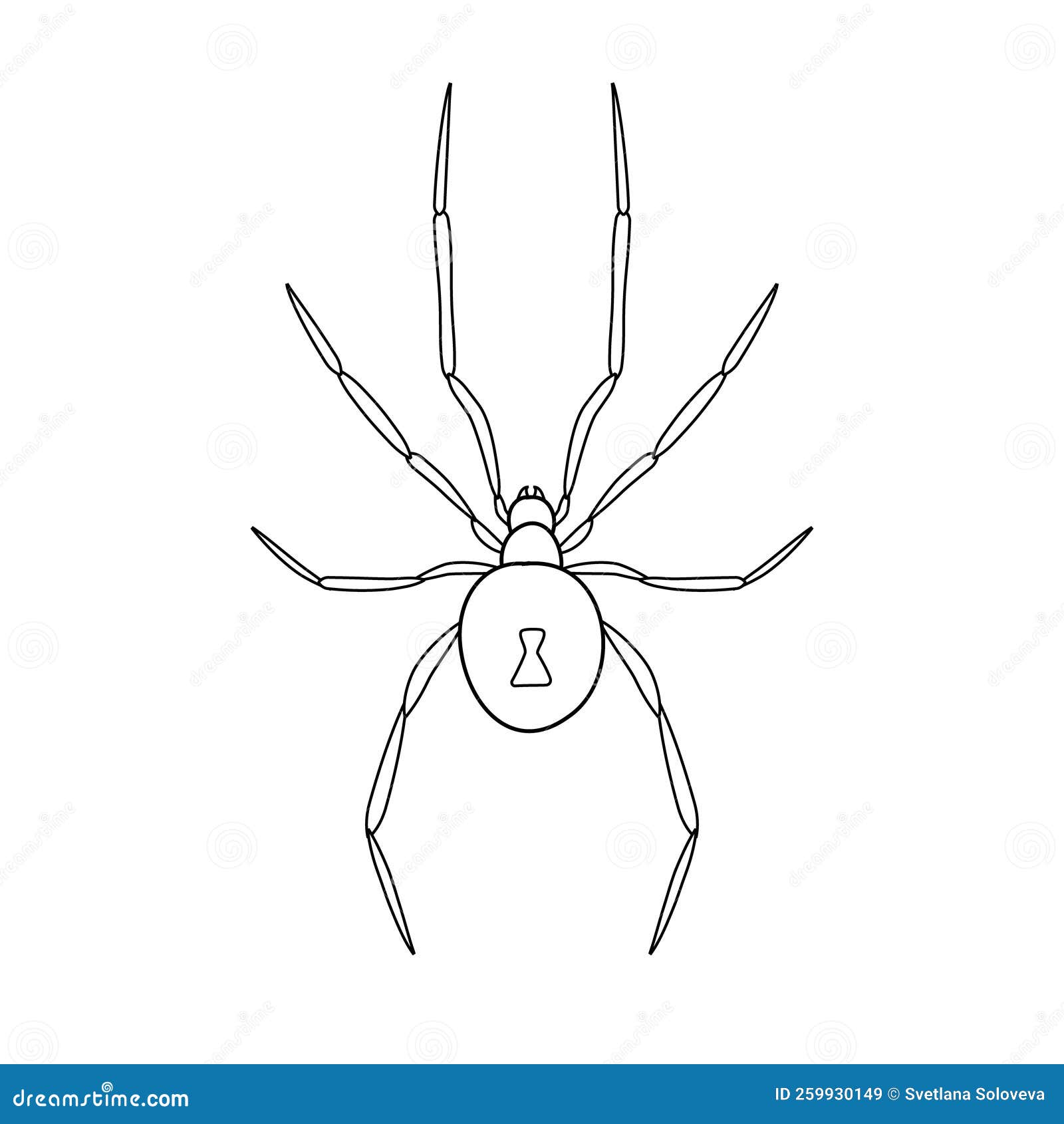 Vector Flat Hand Drawn Outline Spider Stock Vector - Illustration of ...