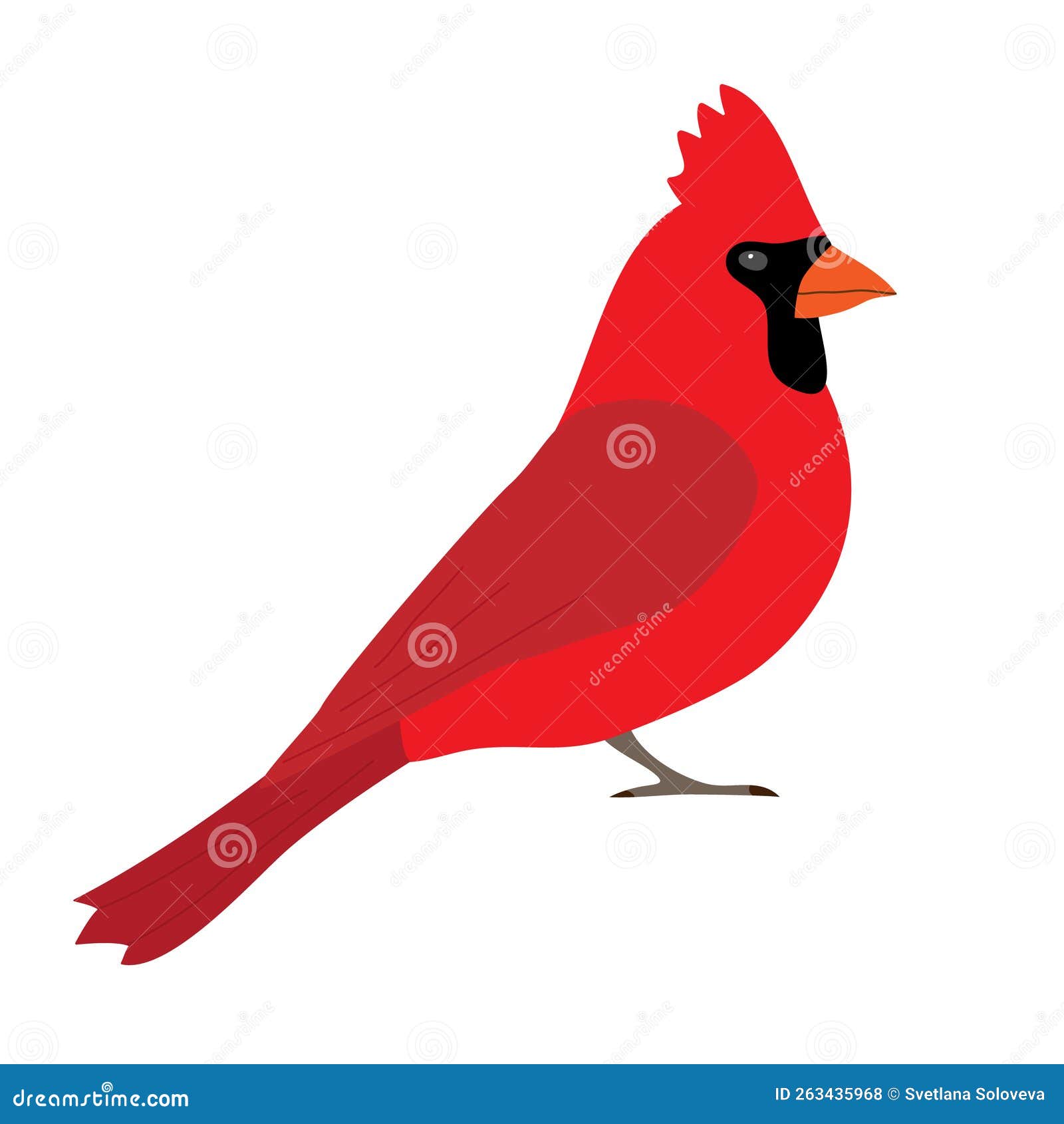 Vector Flat Hand Drawn Red Cardinal Bird Stock Vector - Illustration of ...