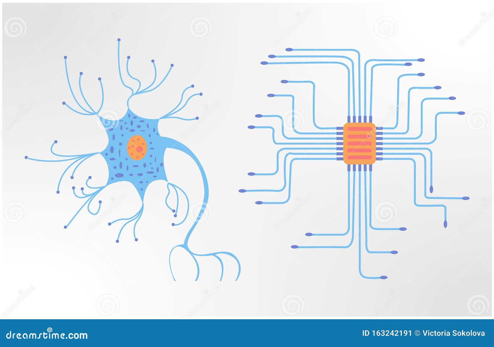 Vector Flat Illustration Showing Ordinary Human Neuron on One Side and ...