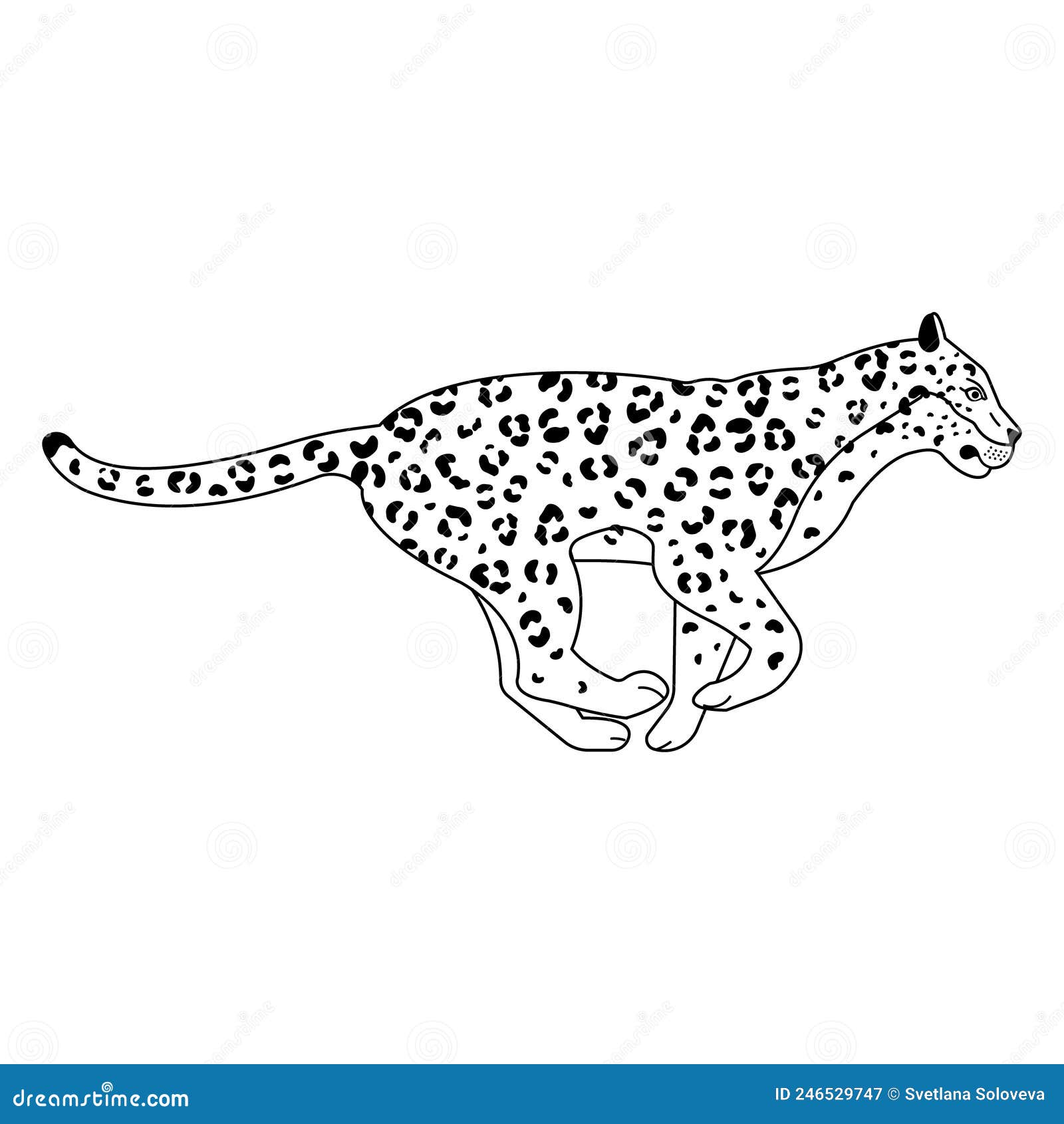 Vector Flat Outline Running Leopard Stock Illustration - Illustration ...