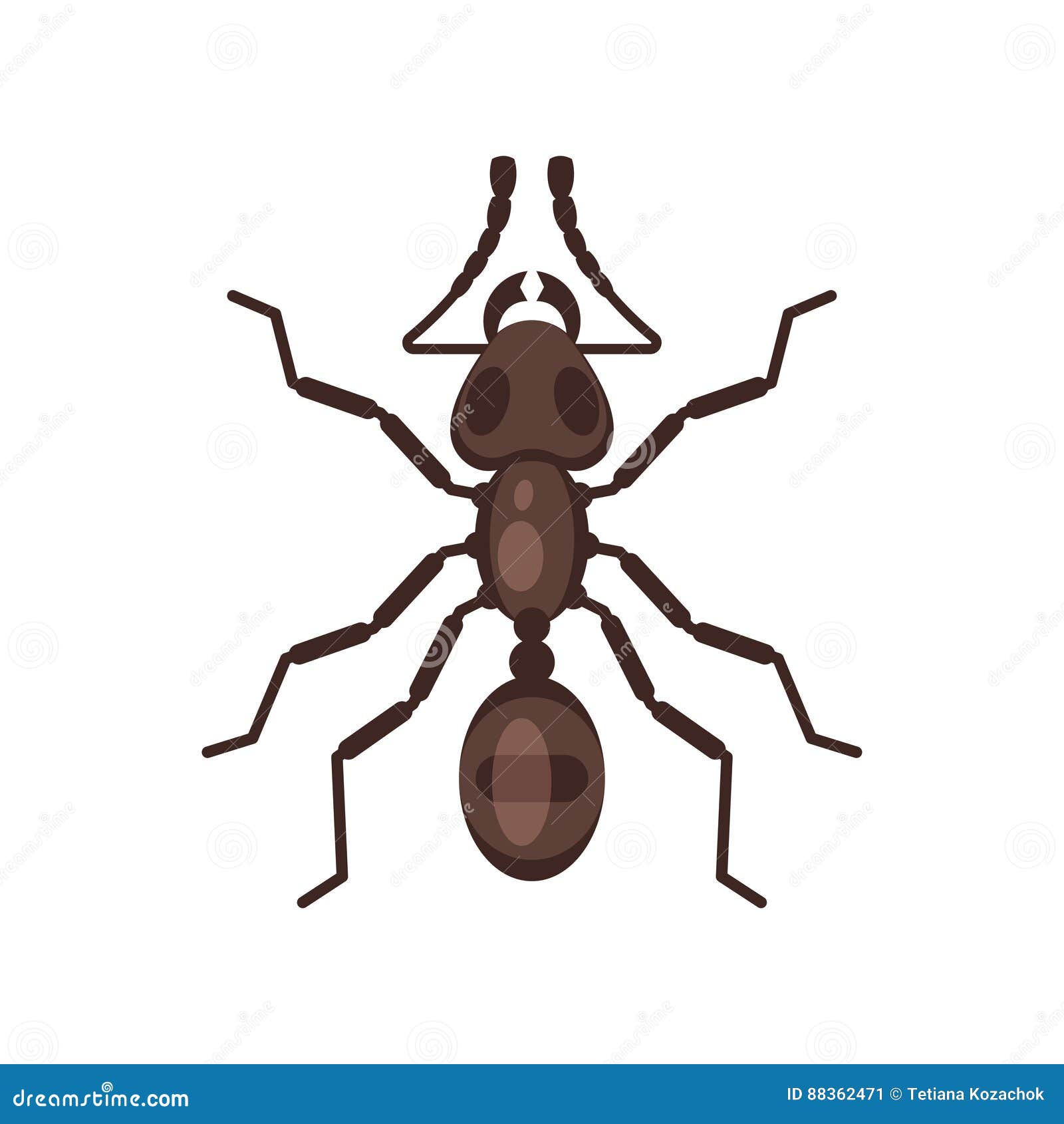 Vector Flat Style Illustration of Ant. Stock Vector - Illustration of ...