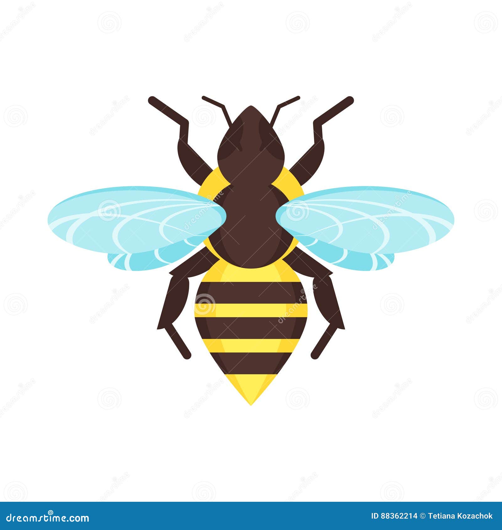 Vector Flat Style Illustration of Bee. Stock Vector - Illustration of ...
