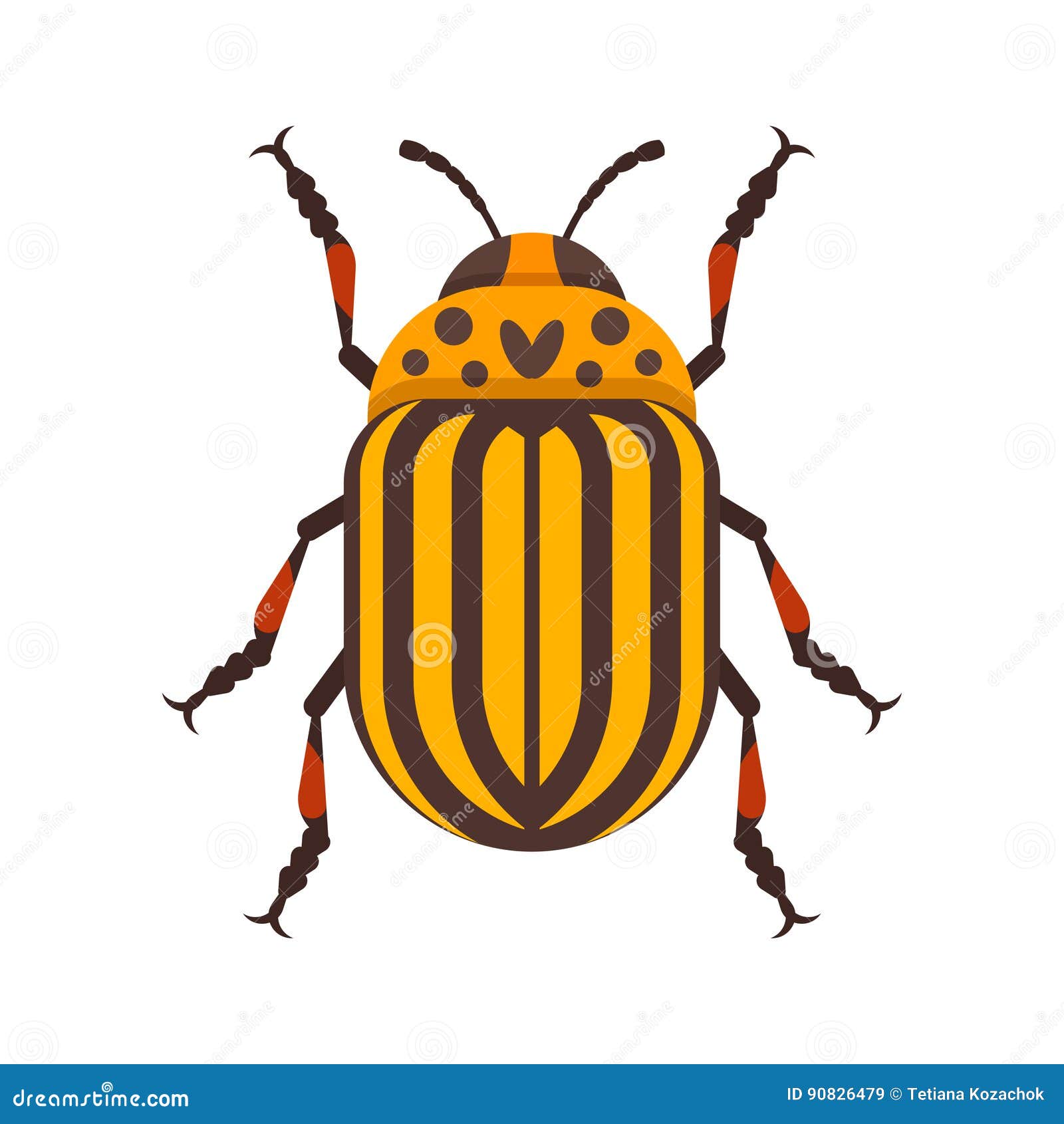 Vector Flat Style Illustration of Colorado Beetle. Stock Vector ...