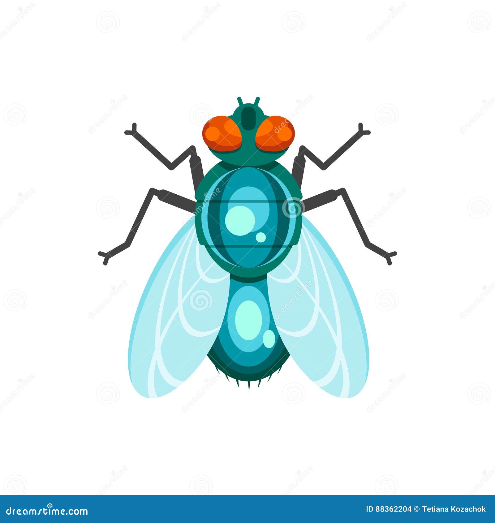 Vector Flat Style Illustration of Fly. Stock Vector - Illustration of ...