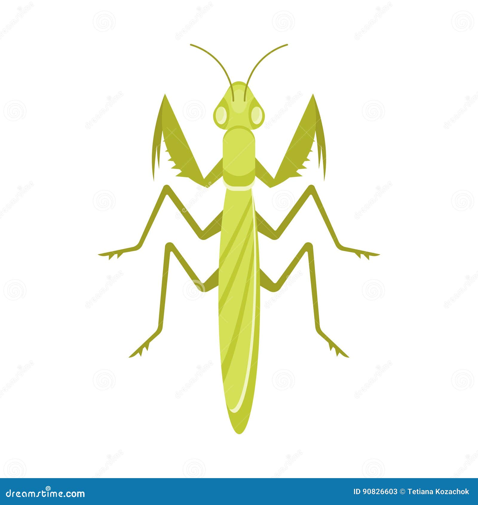 Vector Flat Style Illustration of Mantis Stock Vector - Illustration of ...