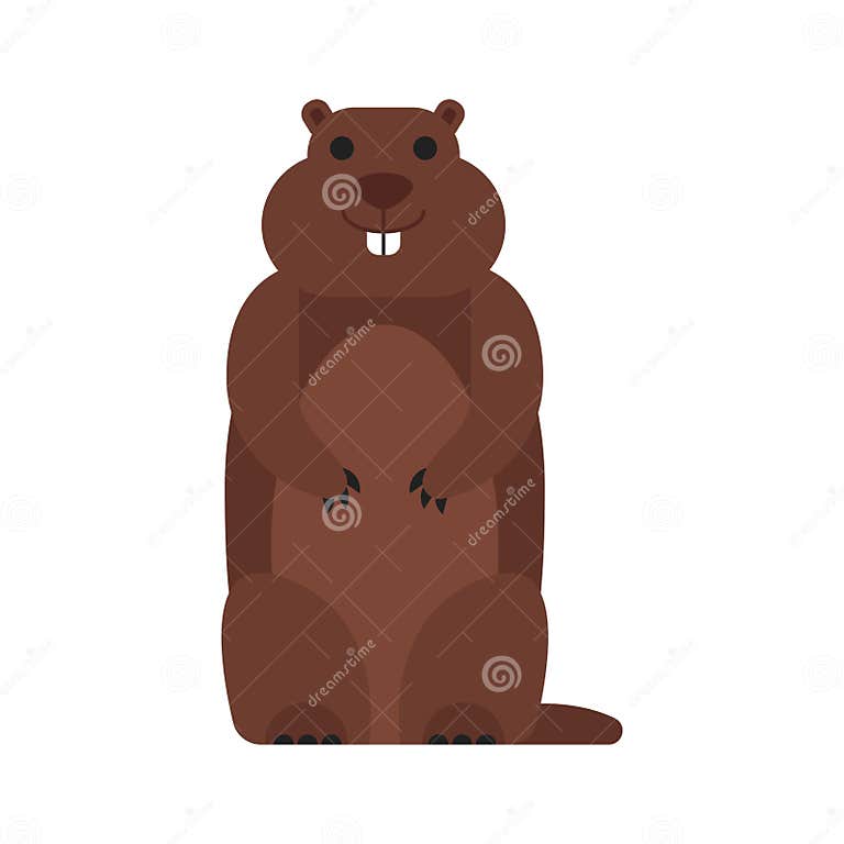Vector Flat Style Illustration of Marmot. Stock Vector - Illustration ...