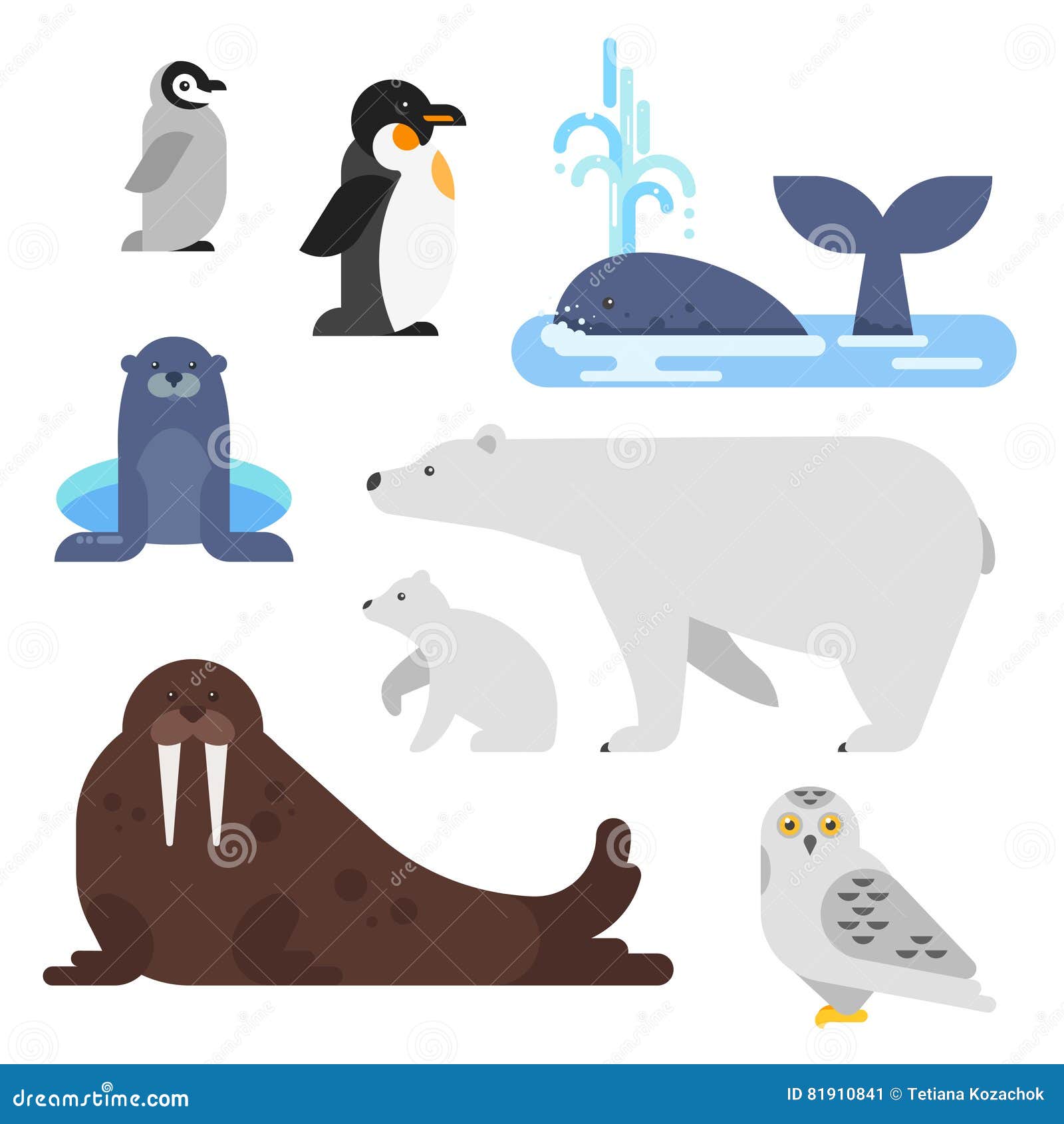 Vector Flat Style Set of Arctic Animal. Stock Vector - Illustration of ...