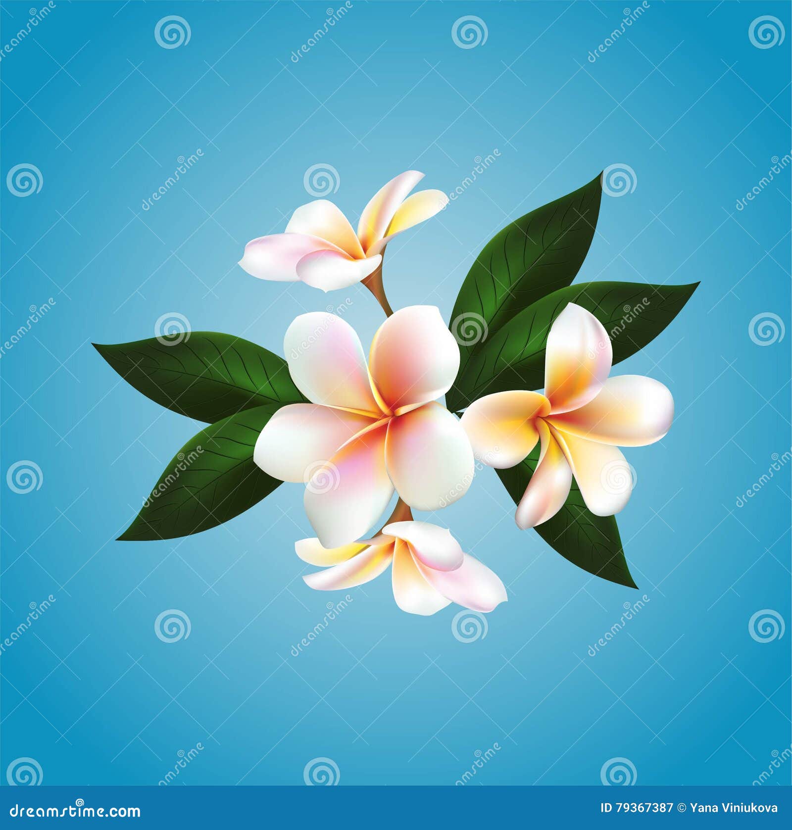 Vector floating flower stock vector. Illustration of flower - 79367387