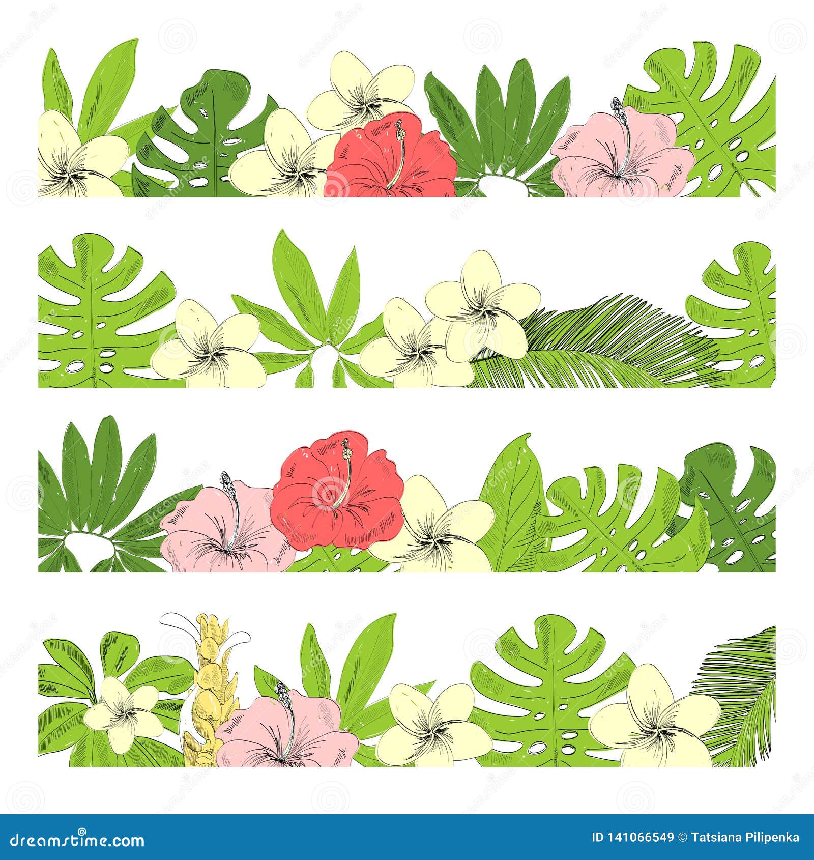 Vector floral borders. stock vector. Illustration of greeting - 141066549