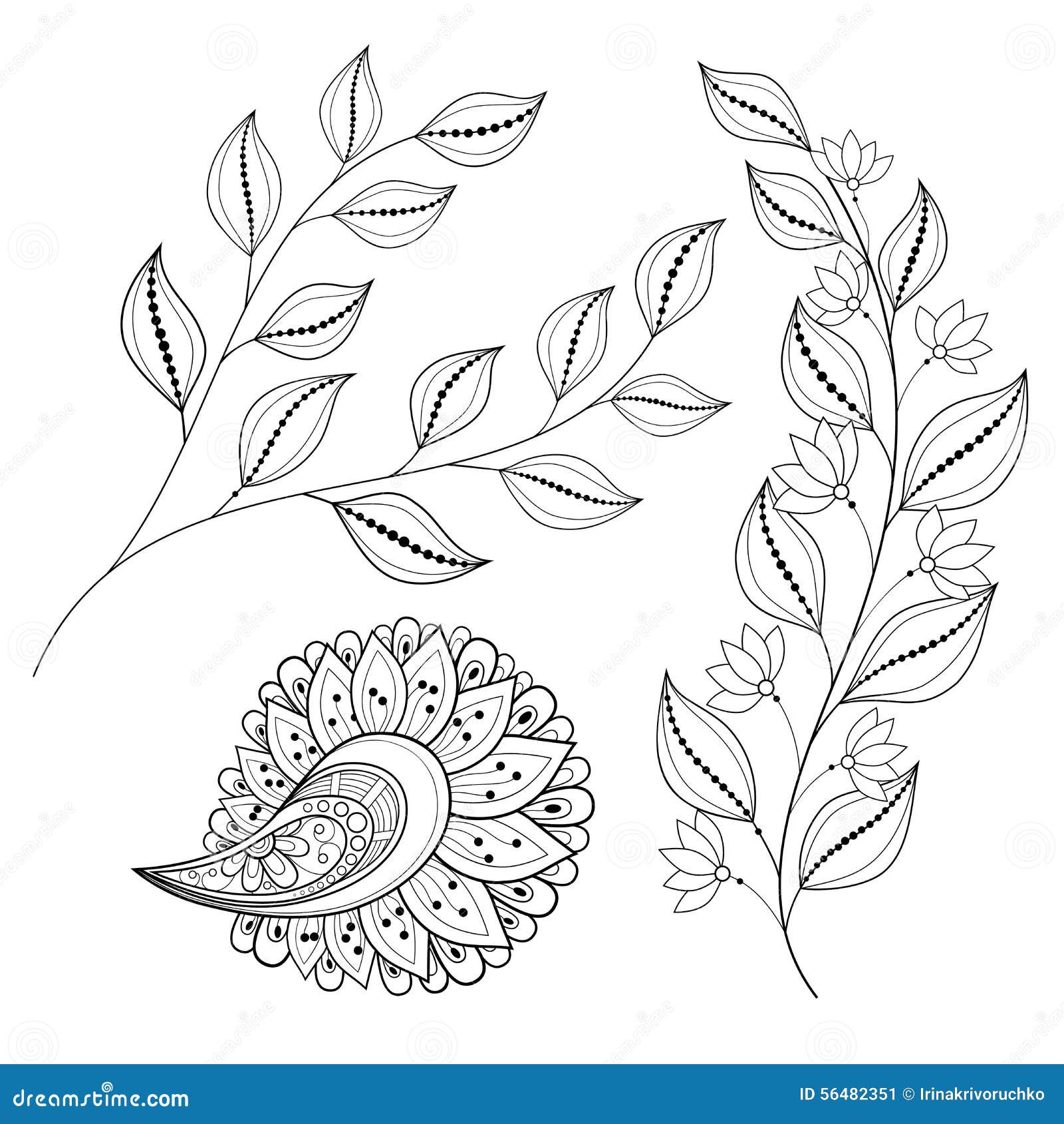 Vector Floral Collection of Hand Drawn Design Elements Stock Vector ...