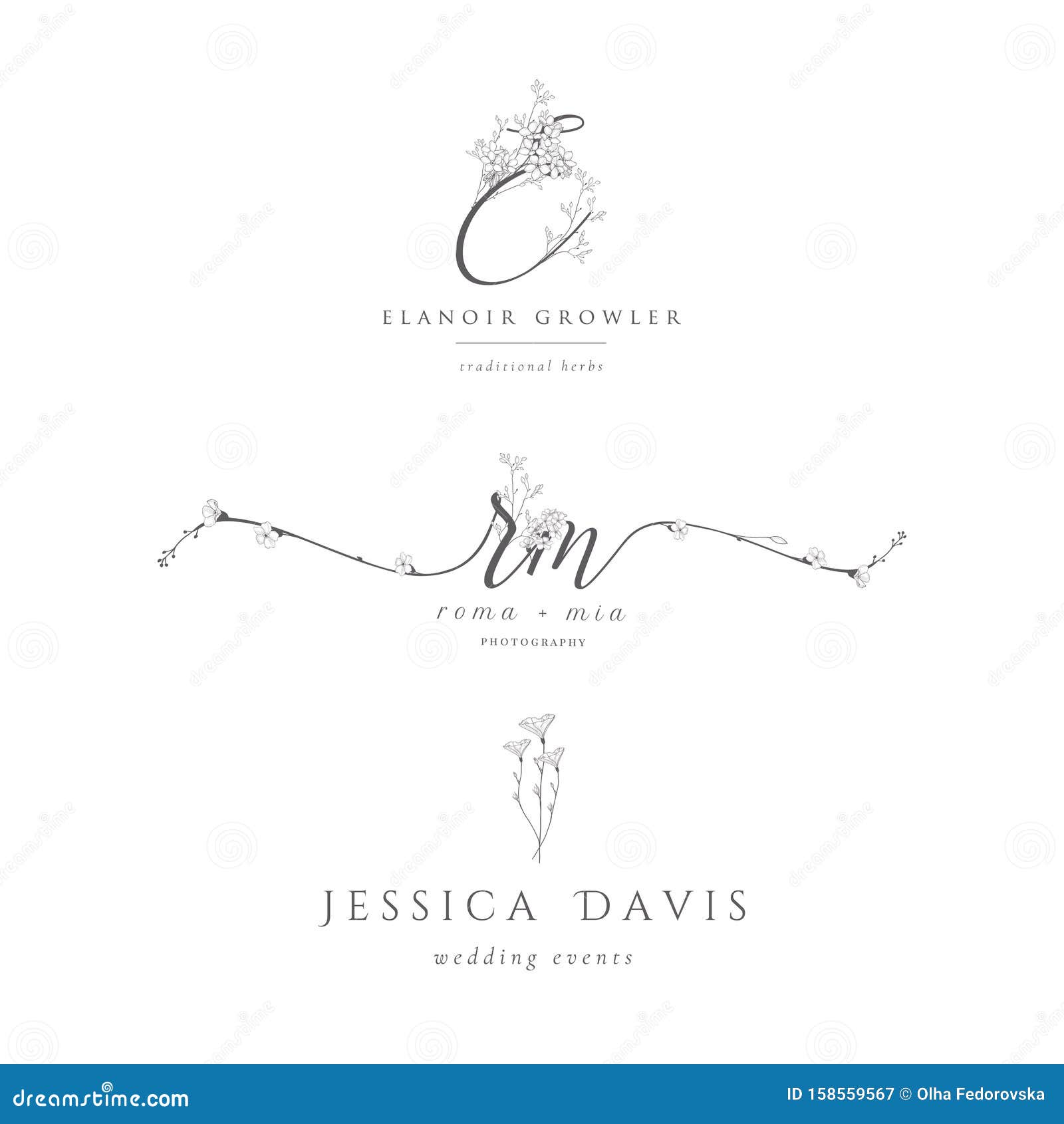 Vector Floral Elements for Logos, Frames Borders Stock Vector ...