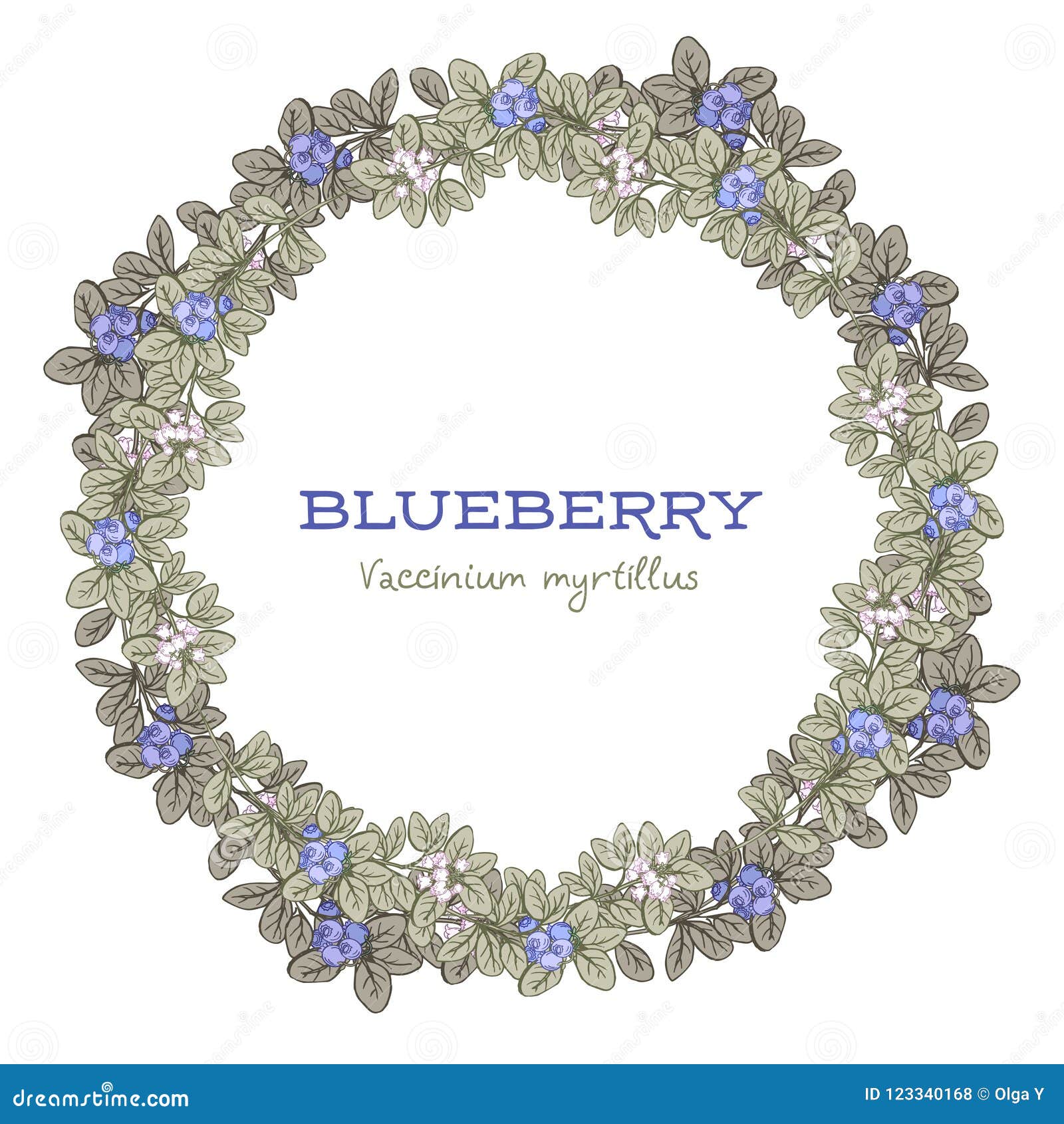 Vector Floral Frame with Blueberry, Hand Drawn Template Stock Vector ...