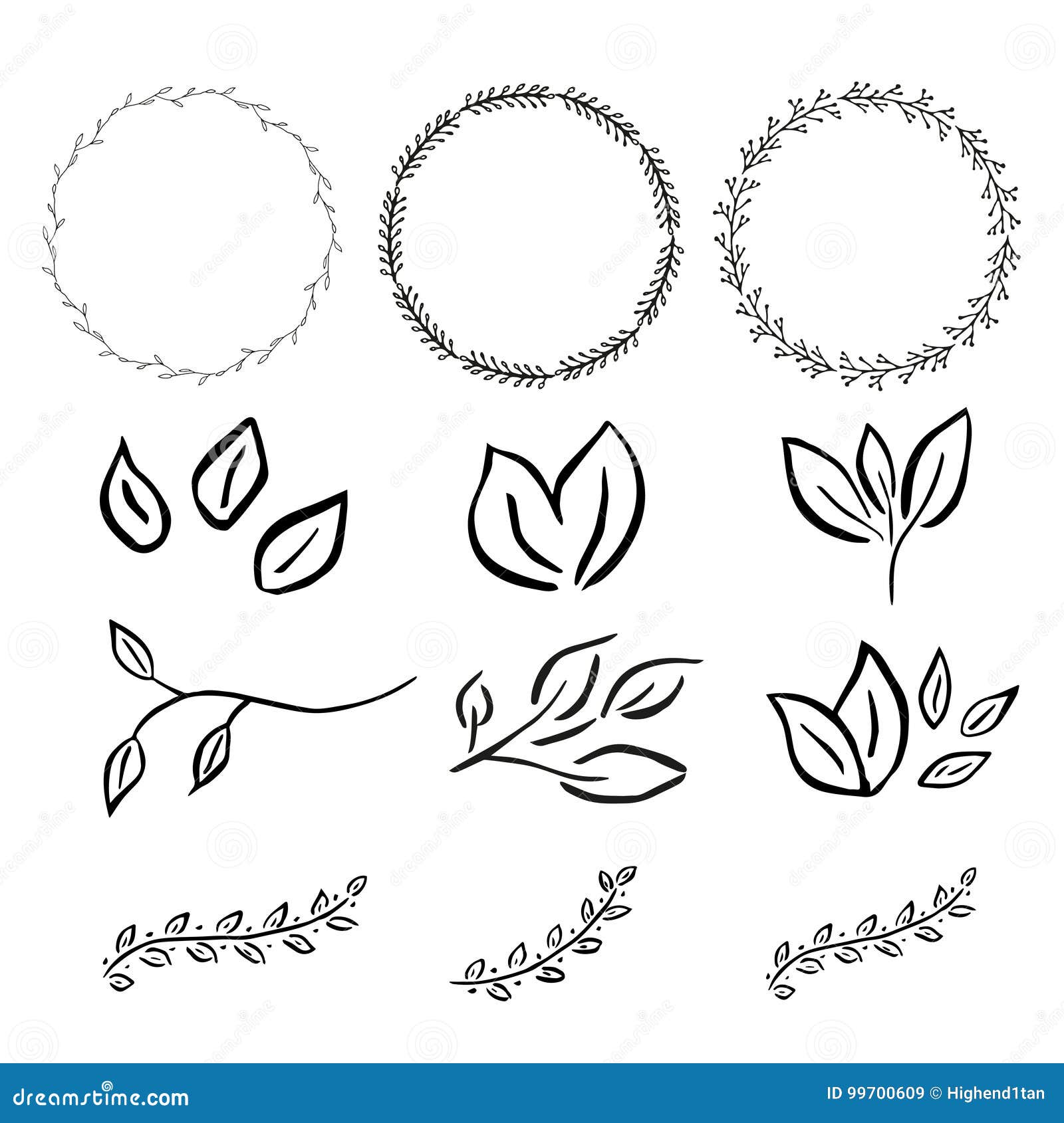 Vector Floral with Leaves, Branches, Circle Plant Elements Stock ...