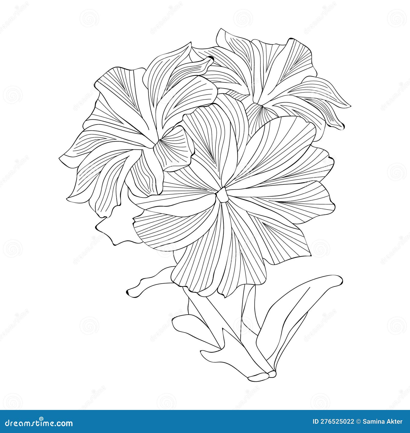 Blossom Flwer, Flower Line Art, Cute Flower Coloring Pages, Flower ...