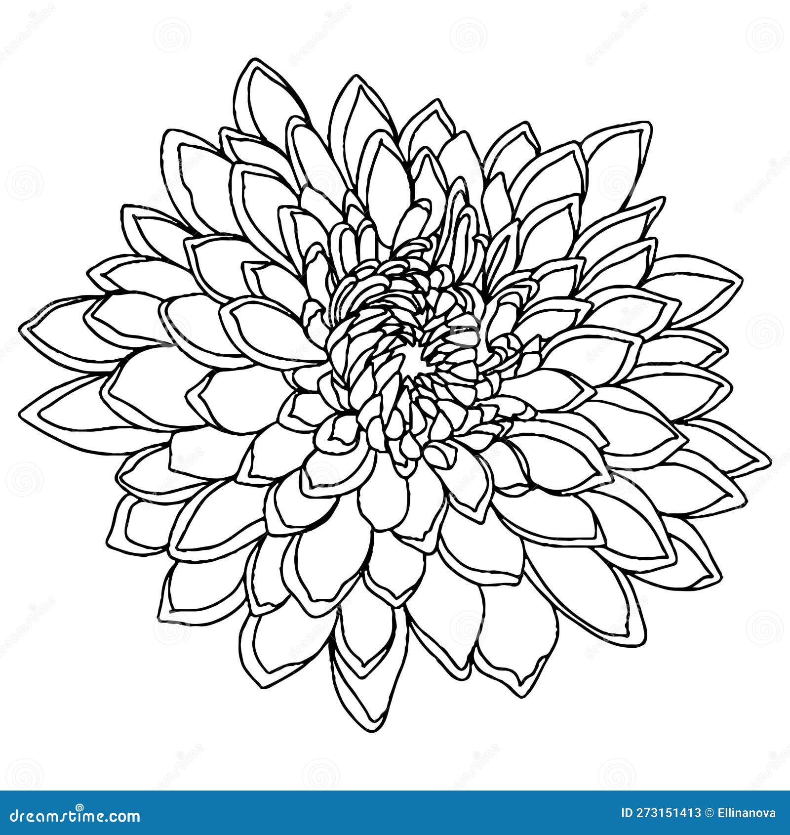 Vector Flower for Coloring Book or Page Stock Vector - Illustration of ...