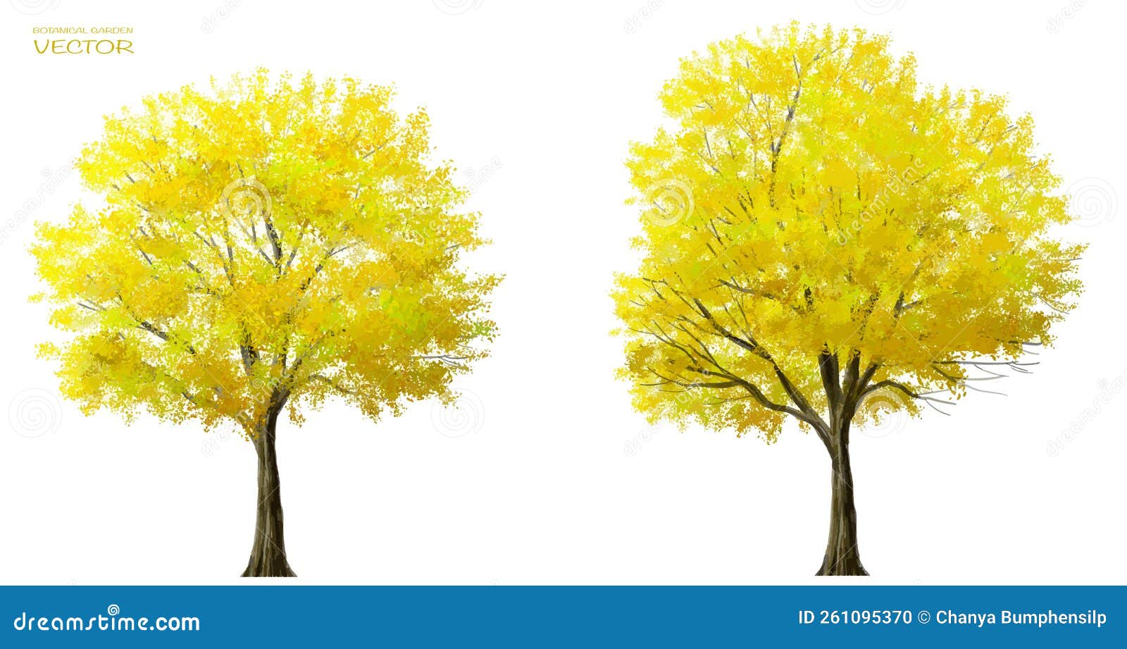 Vector Flower Yellow Tree or Forest Side View Isolated on White ...