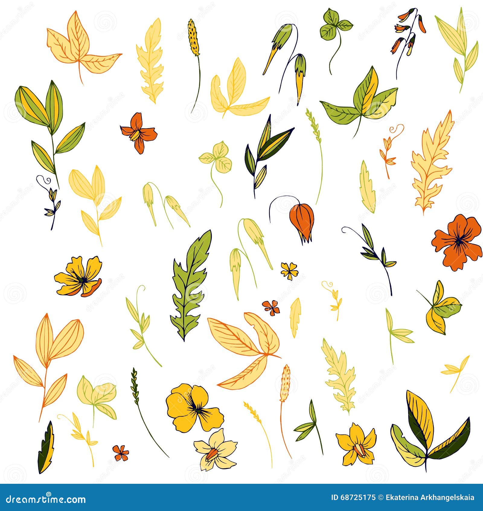 Vector Flowers, Leaves and Plants Stock Vector - Illustration of ...