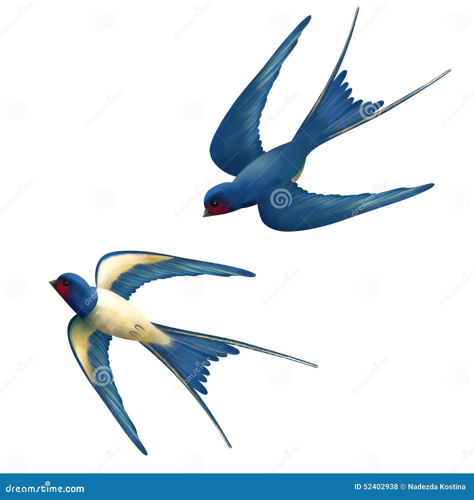 Vector Flying Swallows stock vector. Illustration of summer - 52402938