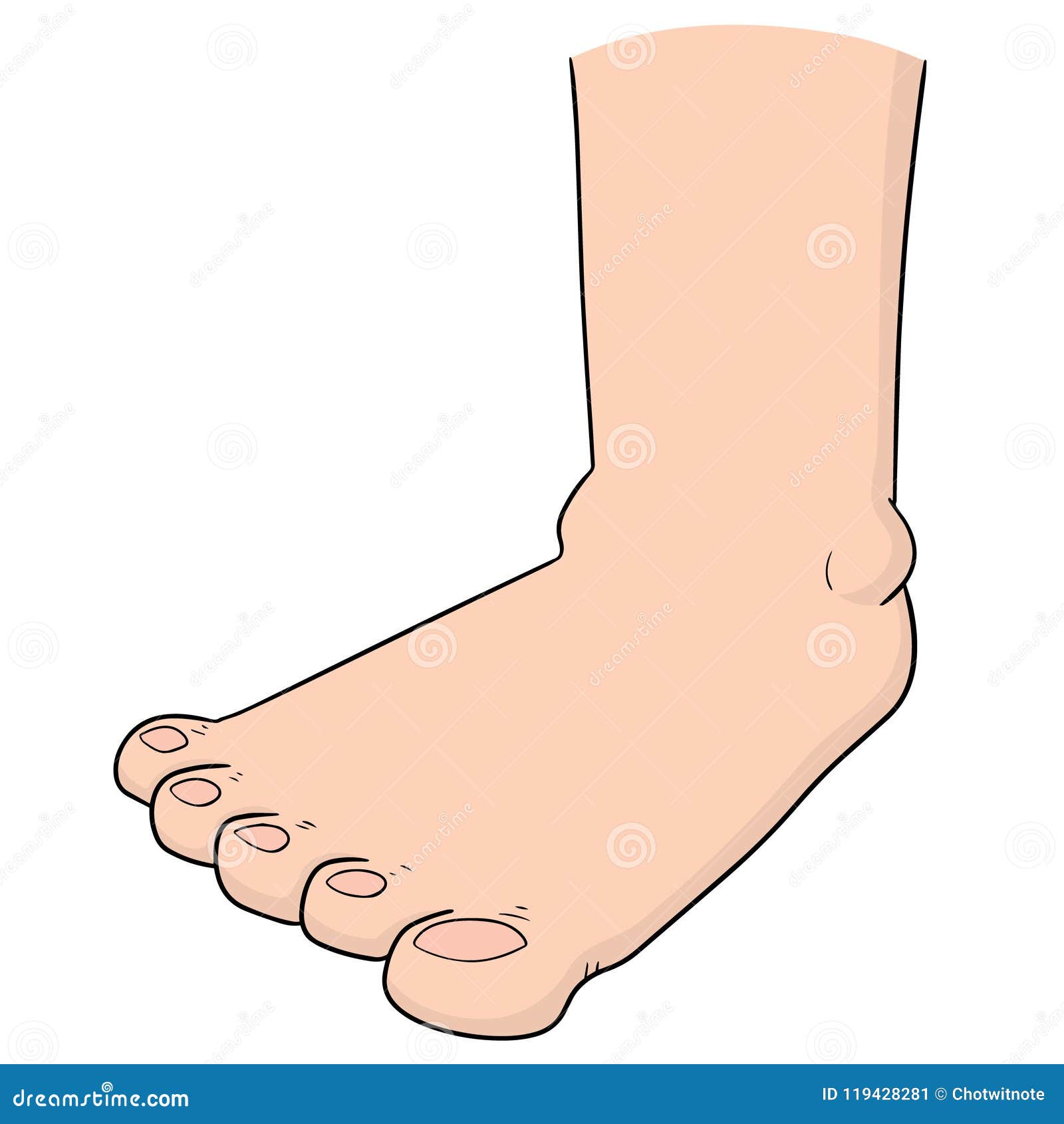 Vector of foot stock vector. Illustration of drawn, sketching - 119428281