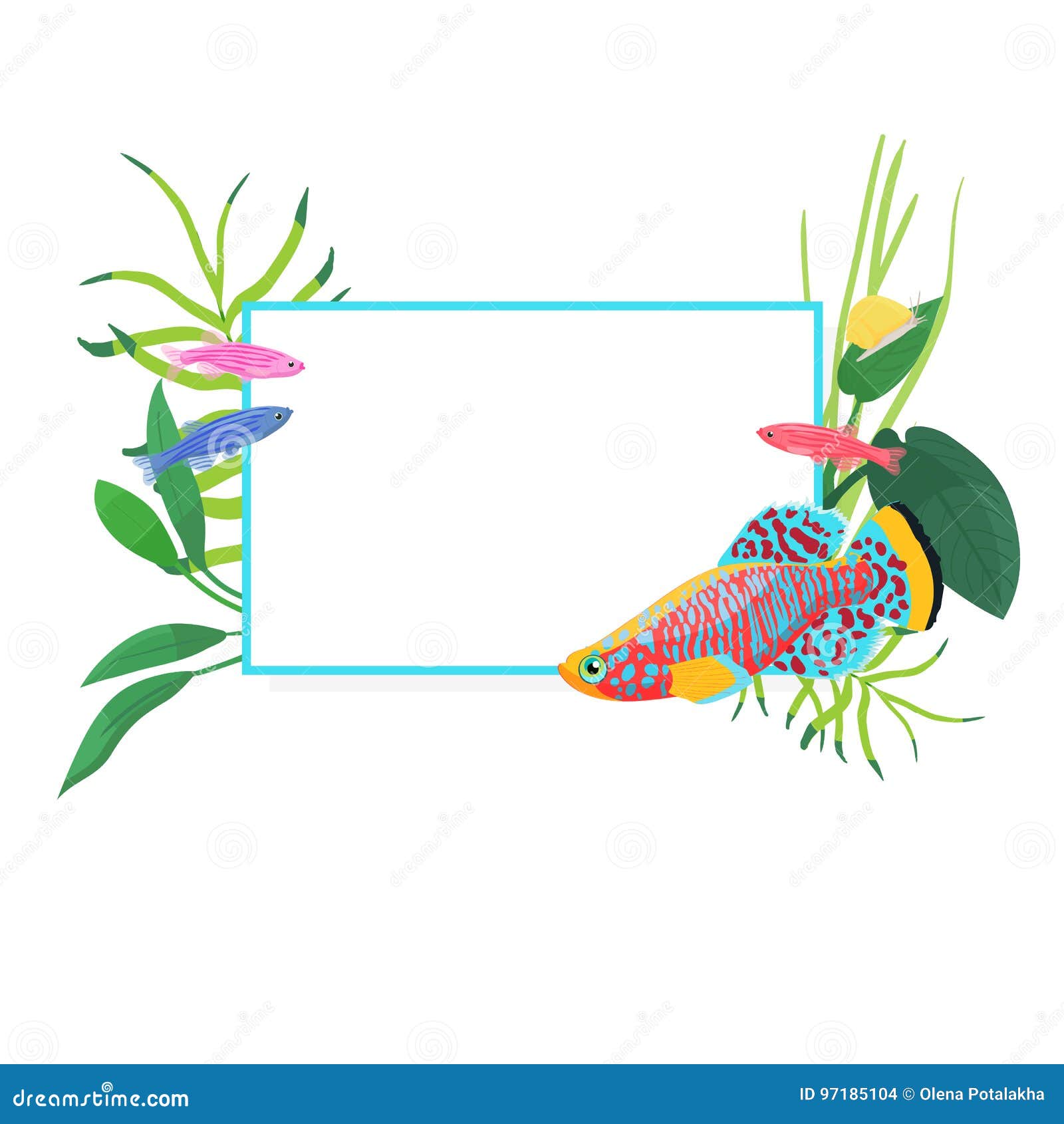 Vector Frame Border with Colorful Fishes and Algae Stock Vector ...