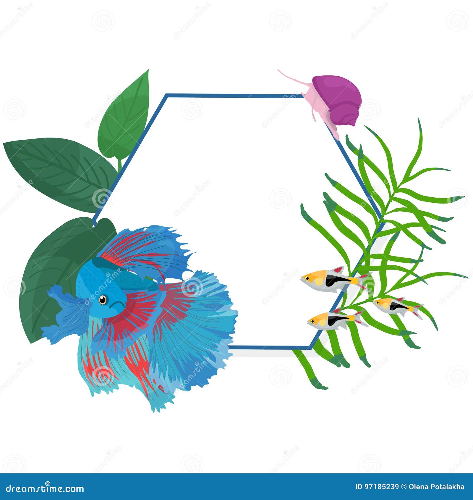 Vector Frame Border with Colorful Fishes and Algae Stock Vector ...
