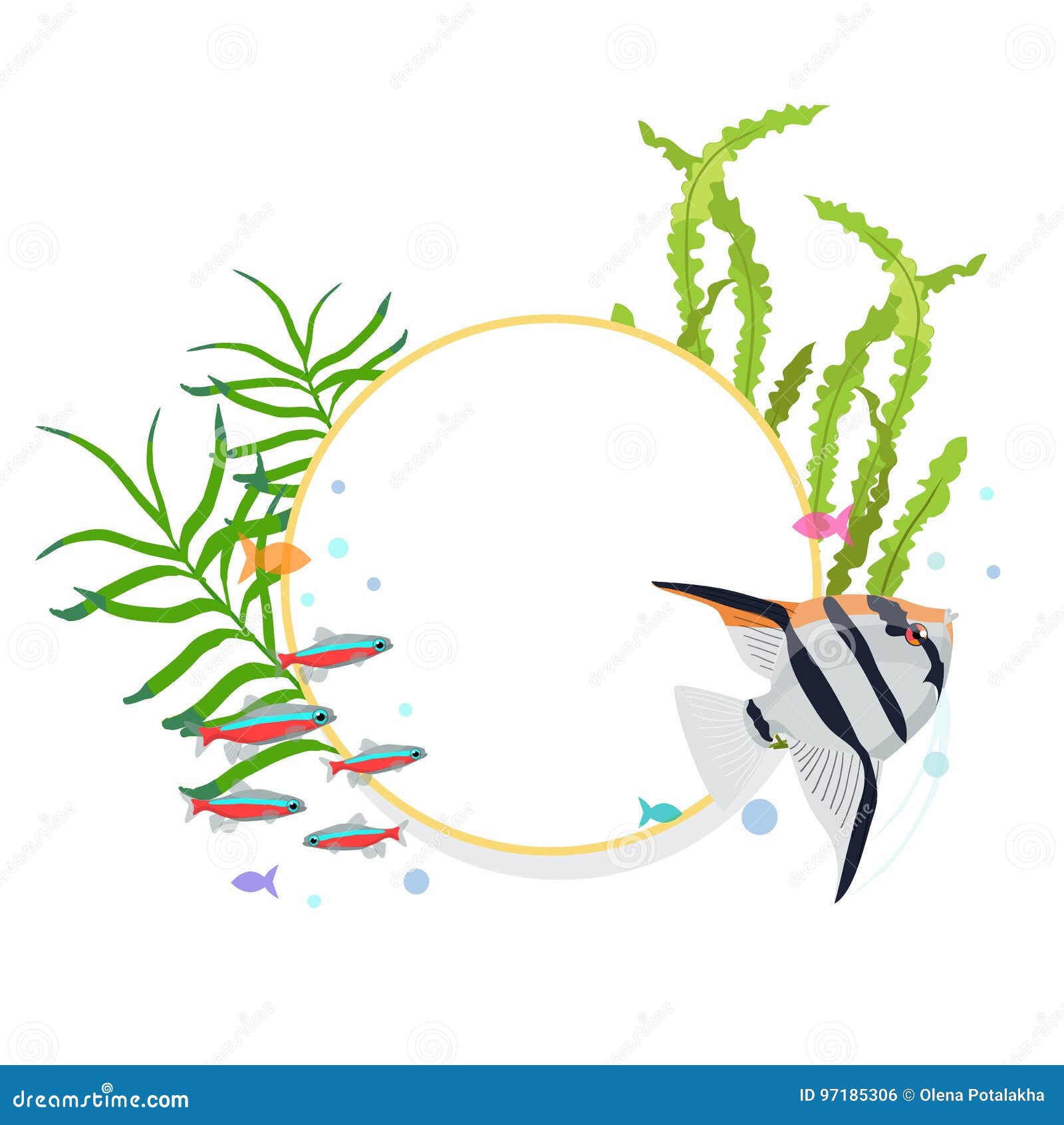 Vector Frame Border With Colorful Fishes And Algae | CartoonDealer.com ...