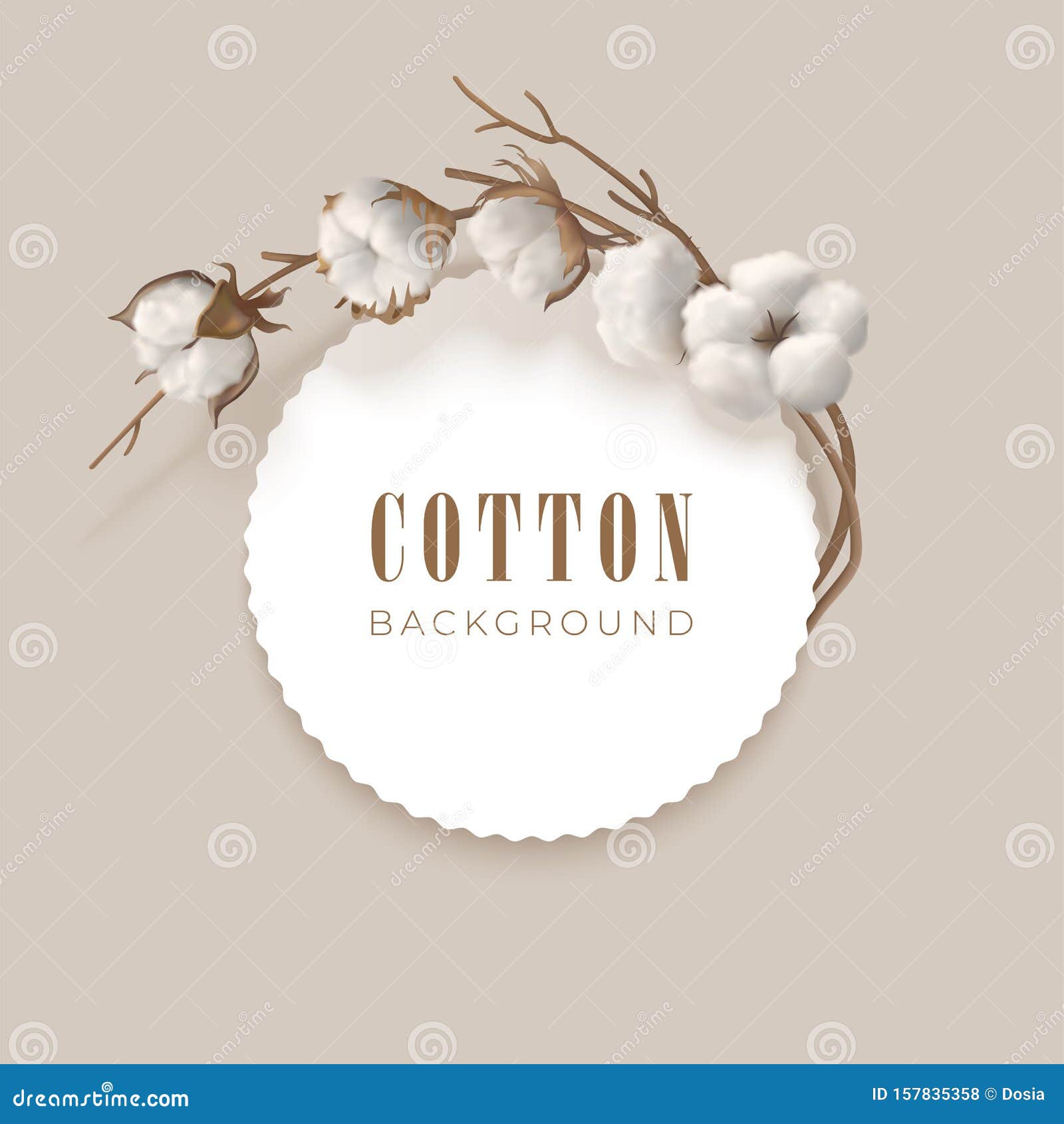 Vector Frame with Cotton Branch Stock Vector - Illustration of botany ...