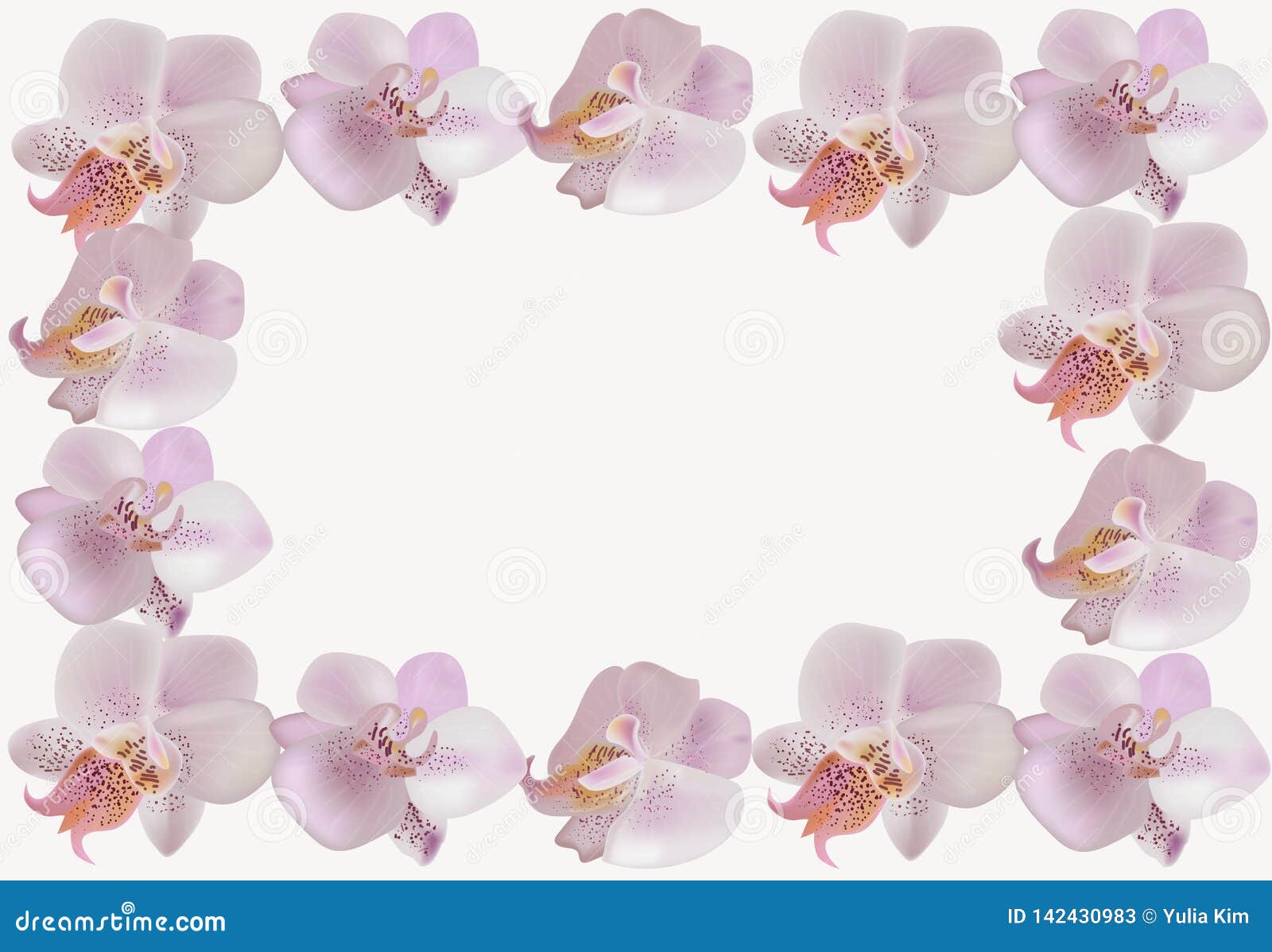 Vector Frame with Gentle Orchids. Stock Vector - Illustration of vector ...