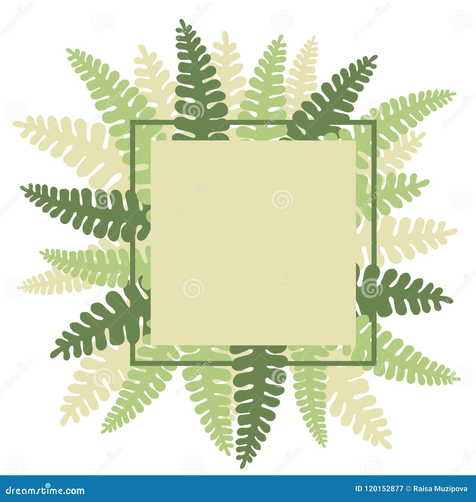 Vector Frame with Hand Drawn Fern. Stock Vector - Illustration of hand ...