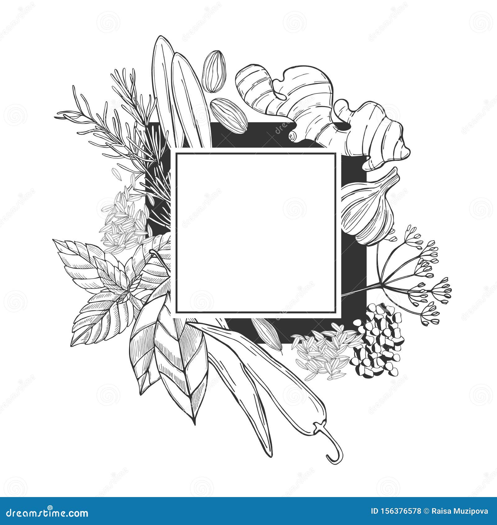 Vector Frame with Spices and Herbs. Stock Vector - Illustration of ... Vector Frame with Spices and Herbs. Stock Vector - Illustration of ...