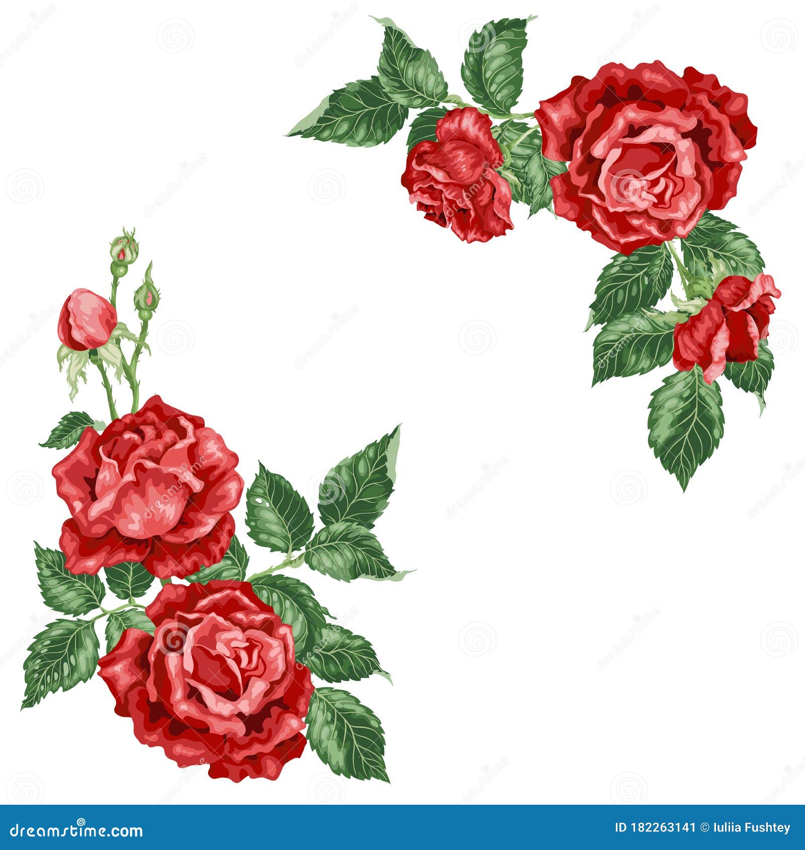 Vector Frame Illustration with Rose Flowers Stock Illustration ...