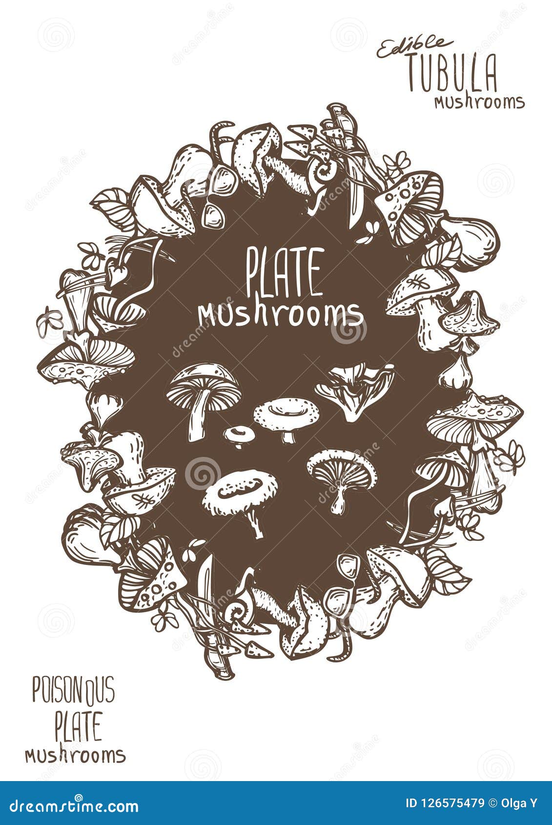 Vector Frame with Mushrooms, Hand Drawn Template. Lingonberry ...