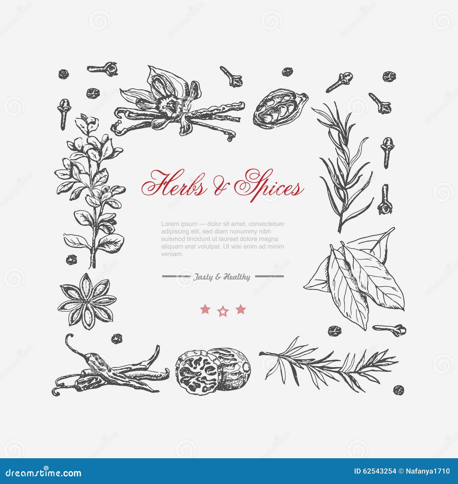 Vector Frame of Spices and Herbs on a White Background Stock Vector ...