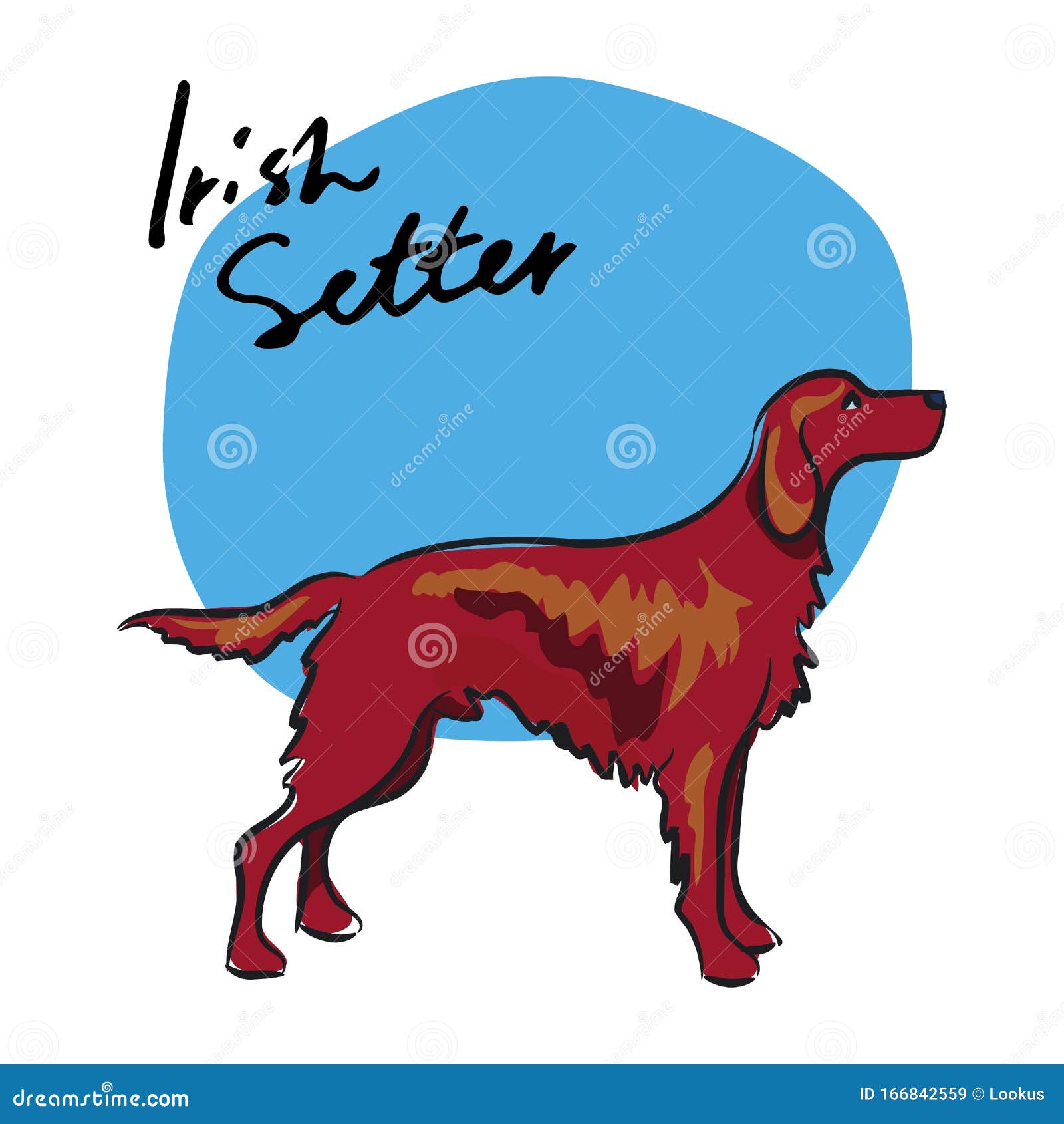 Irish Setter, Vector Illustration Stock Vector - Illustration of group ...