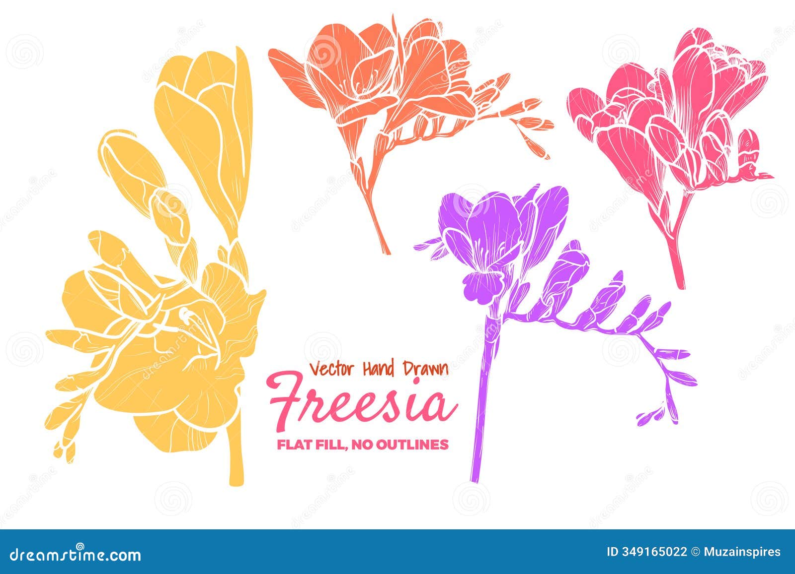 Hand Drawn Vector Freesia Flowers Set. Stock Vector - Illustration of ...