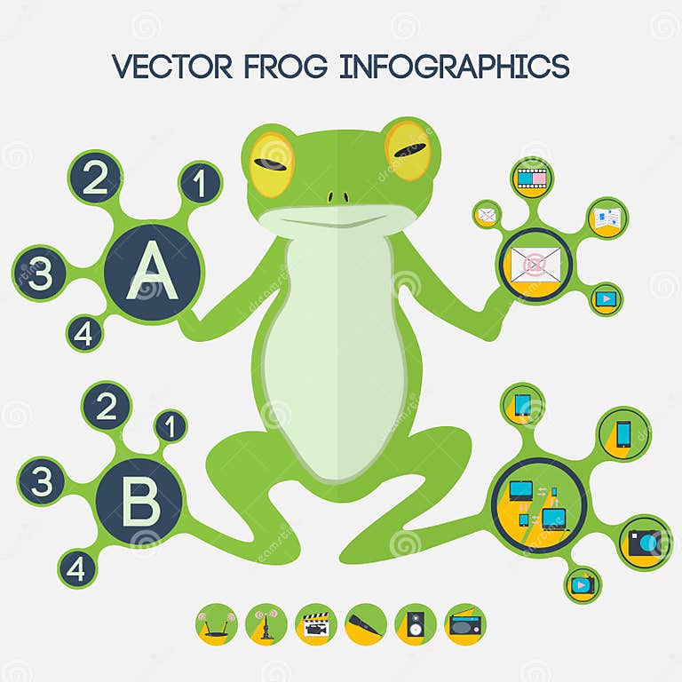 Vector Frog Infographics 02 Stock Vector - Illustration of creative ...