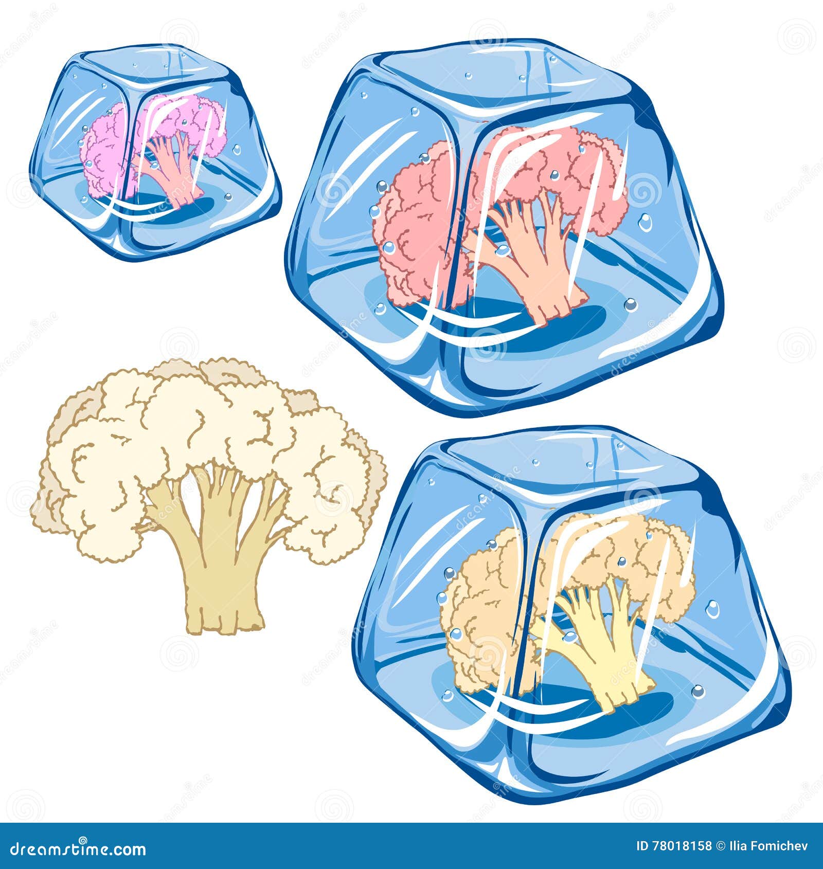 Vector Frozen Cauliflower in Ice Cube on White Background EPS 8. Stock ...
