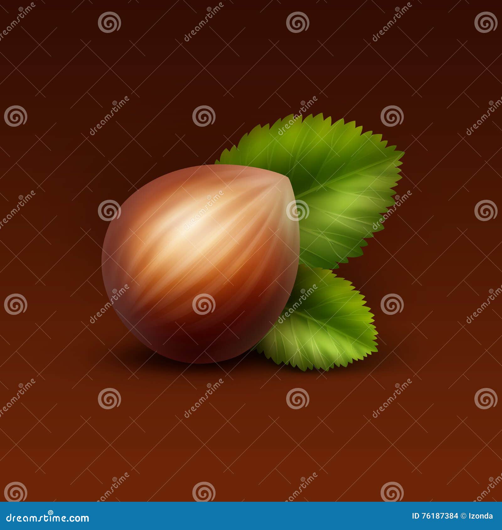 Vector Full Unpeeled Hazelnut with Leaves Stock Vector - Illustration ...