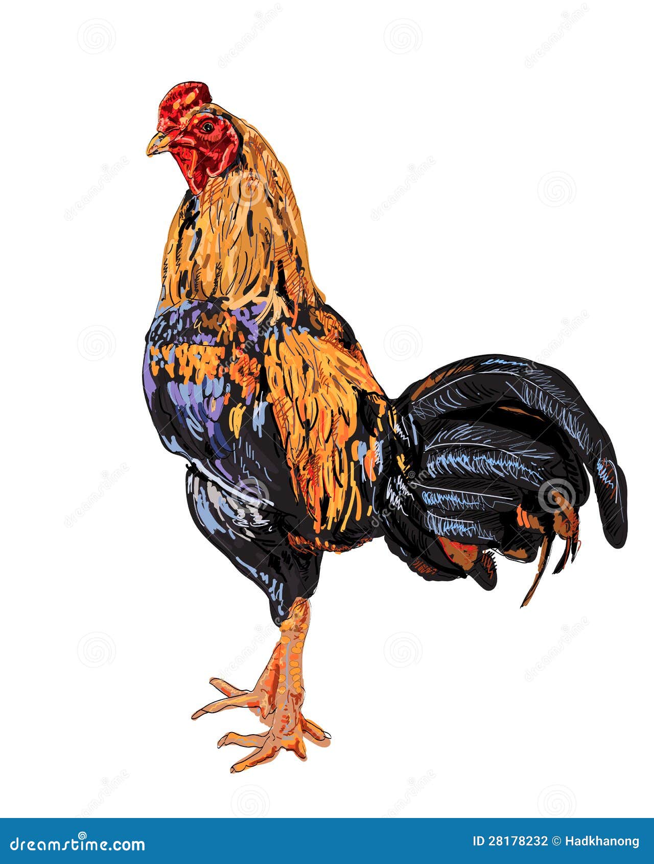 Vector-Gallo ilustración del vector. Ilustración de pico - 28178232