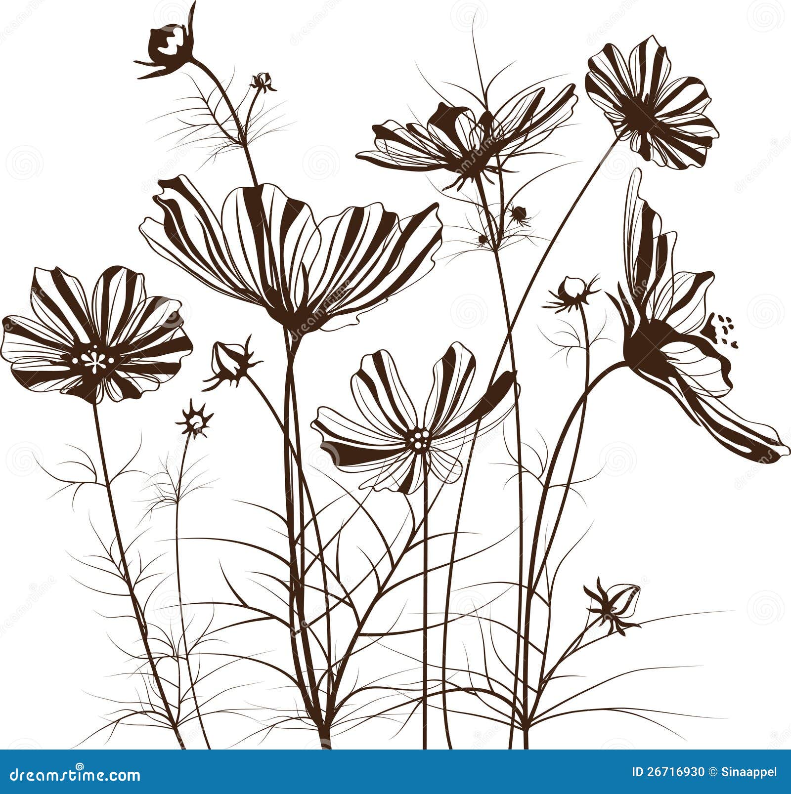 Cosmos Flower, Watercolor Painting Of A Cosmos Flower. AI-Generated ...