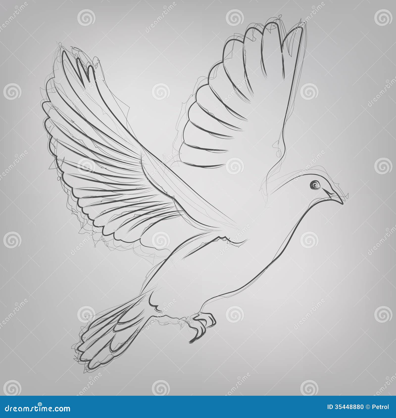 Vector geschetste duif vector illustratie. Illustration of tekening ...