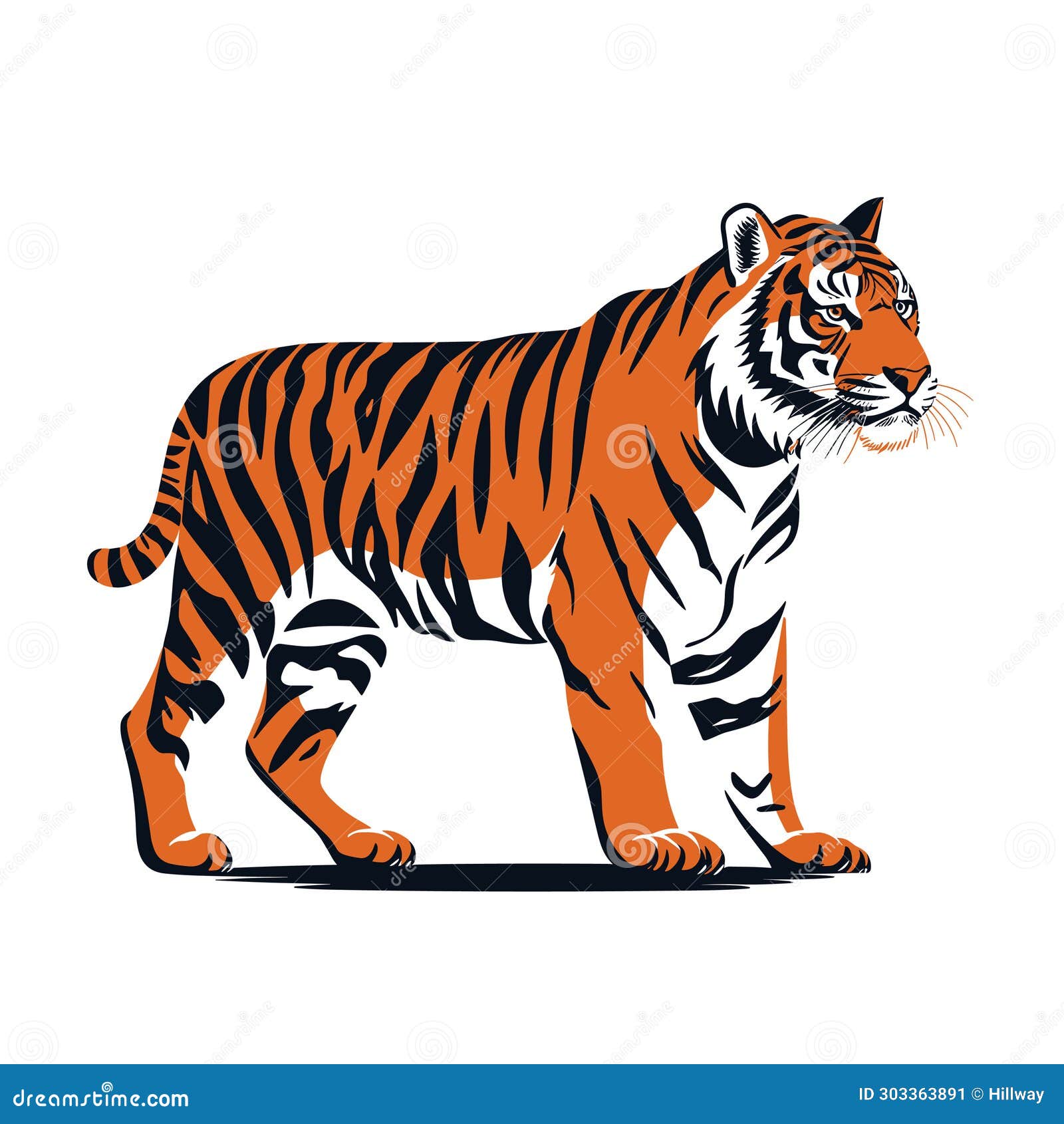 Vector Giant Tiger. Tiger Drawing Full Body Stock Image - Image of gold ...