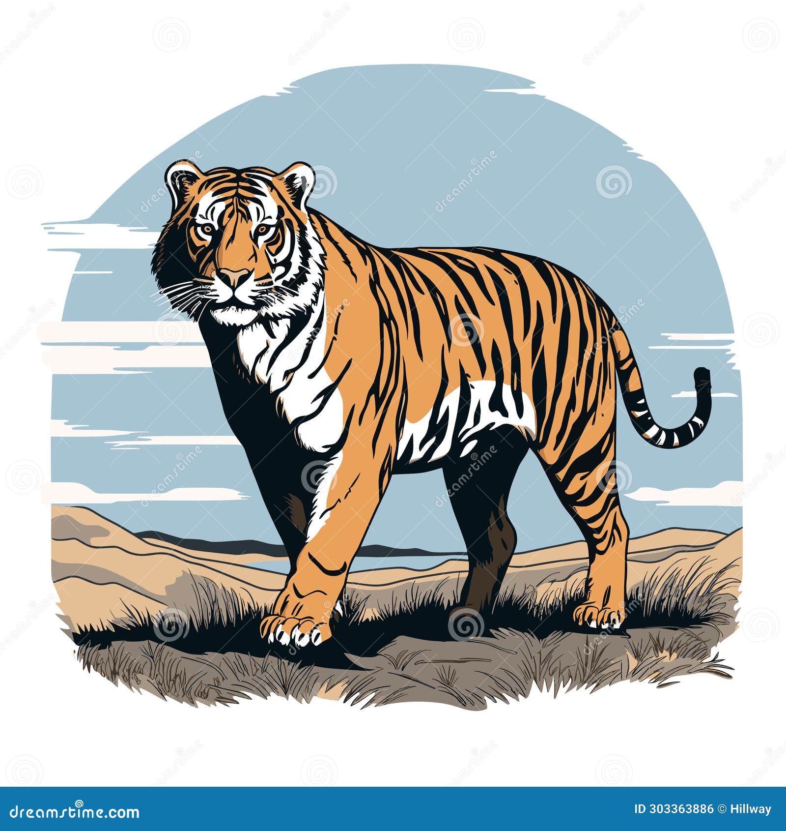 Vector Giant Tiger. Tiger Drawing Full Body Stock Photo - Image of ...
