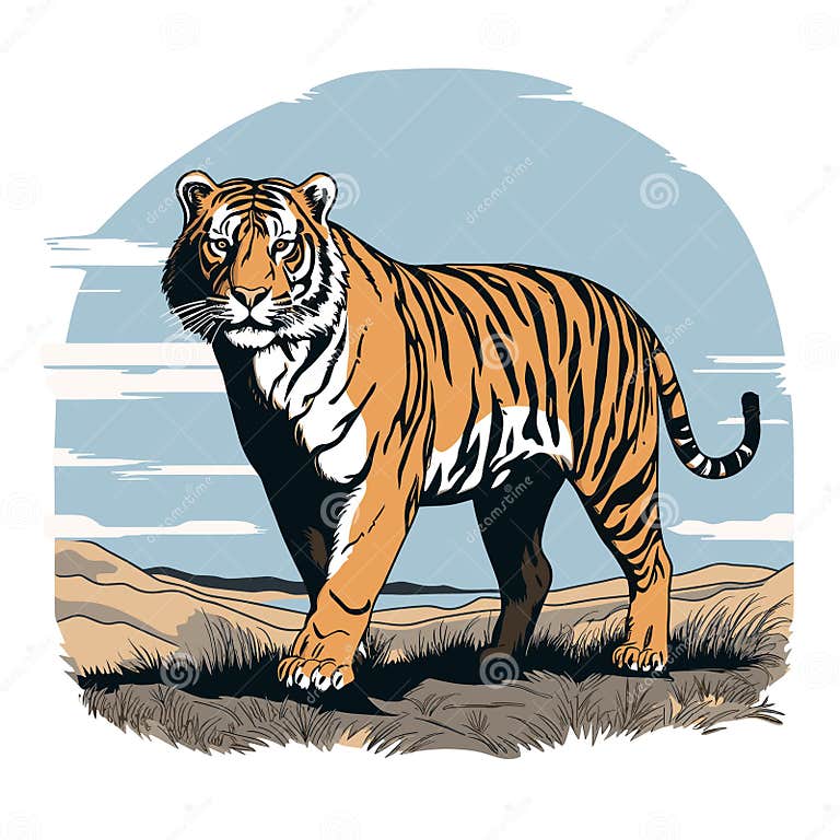 Vector Giant Tiger. Tiger Drawing Full Body Stock Photo - Image of ...