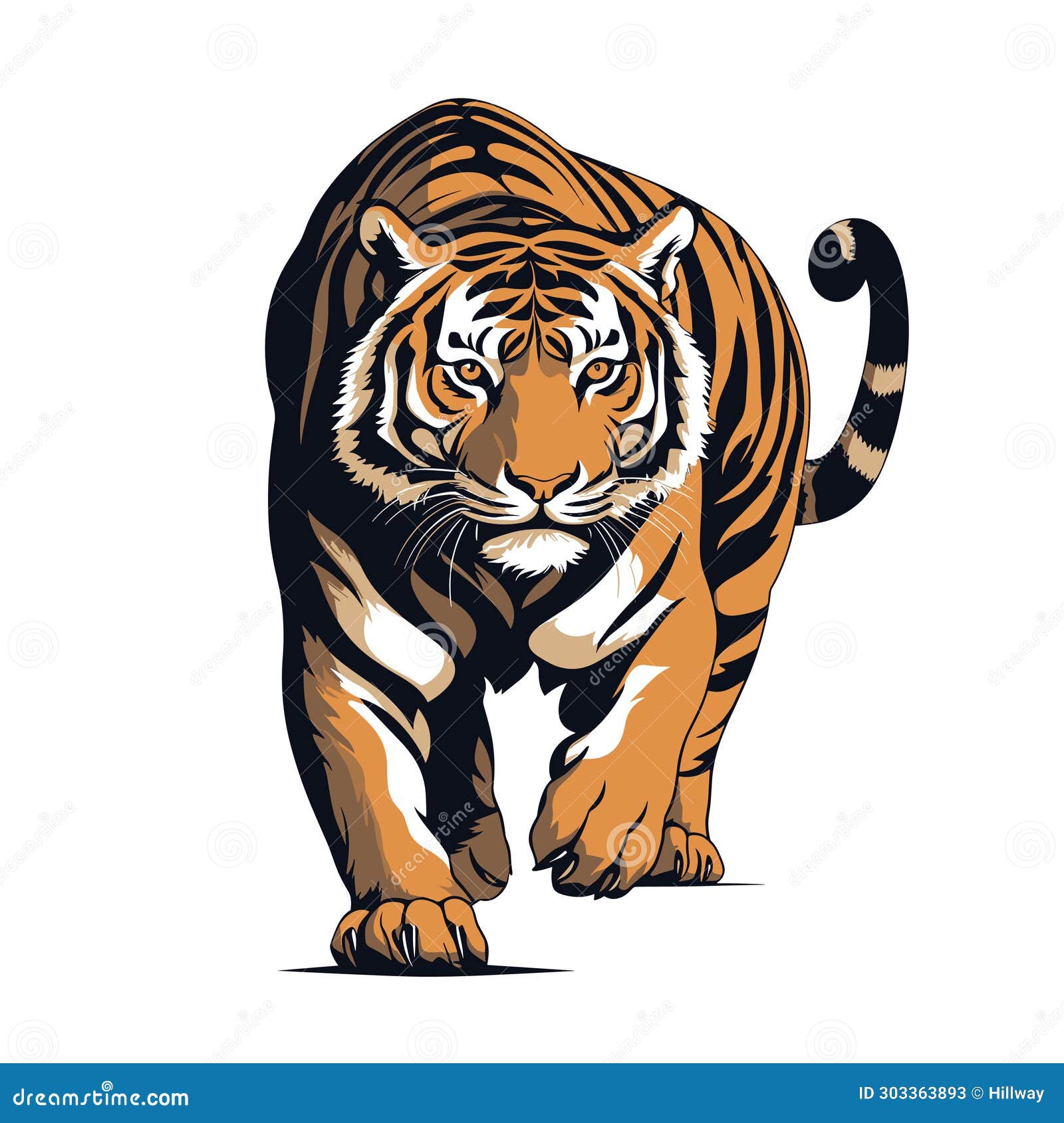 Vector Giant Tiger. Tiger Drawing Full Body Stock Image - Image of ...