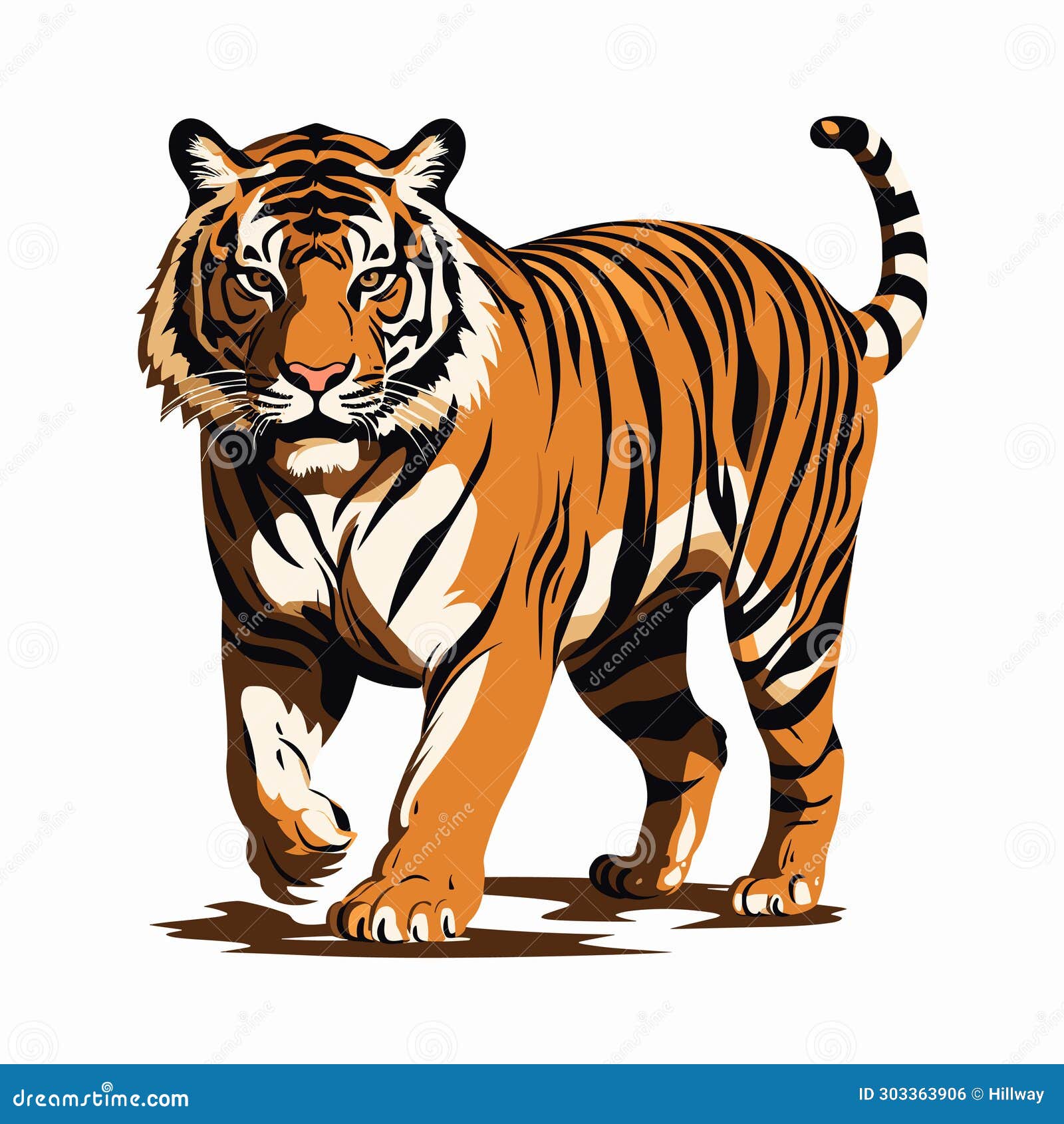 Vector Giant Tiger. Tiger Drawing Full Body Stock Vector - Illustration ...