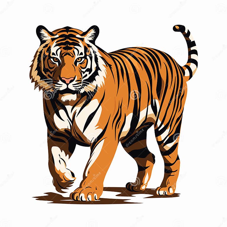 Vector Giant Tiger. Tiger Drawing Full Body Stock Vector - Illustration ...