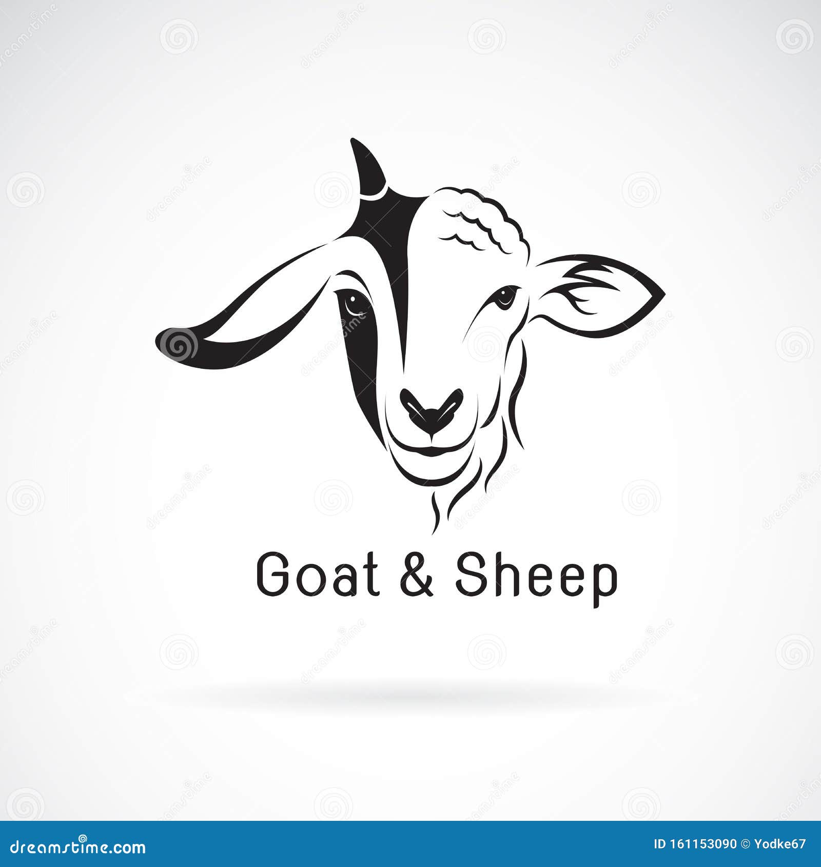 Goat Face Linear Illustration. Saola Head Design. Cartoon Vector ...