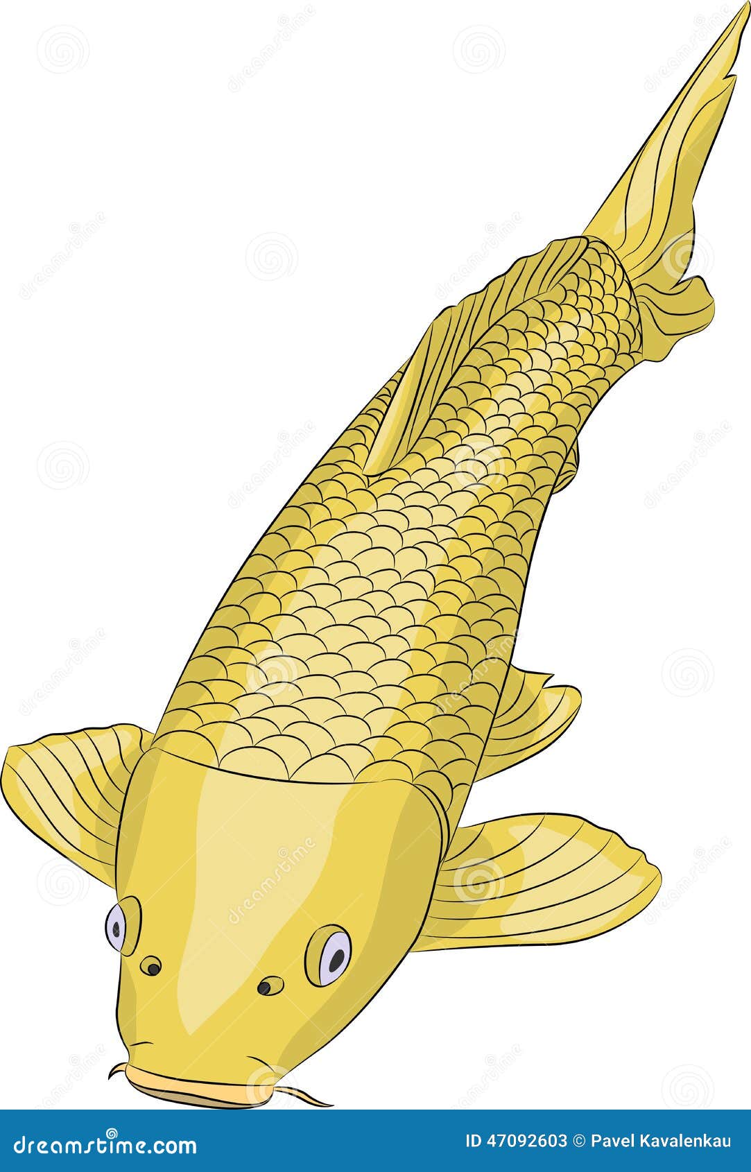 Vector golden carp fish. stock vector. Illustration of symbol - 47092603